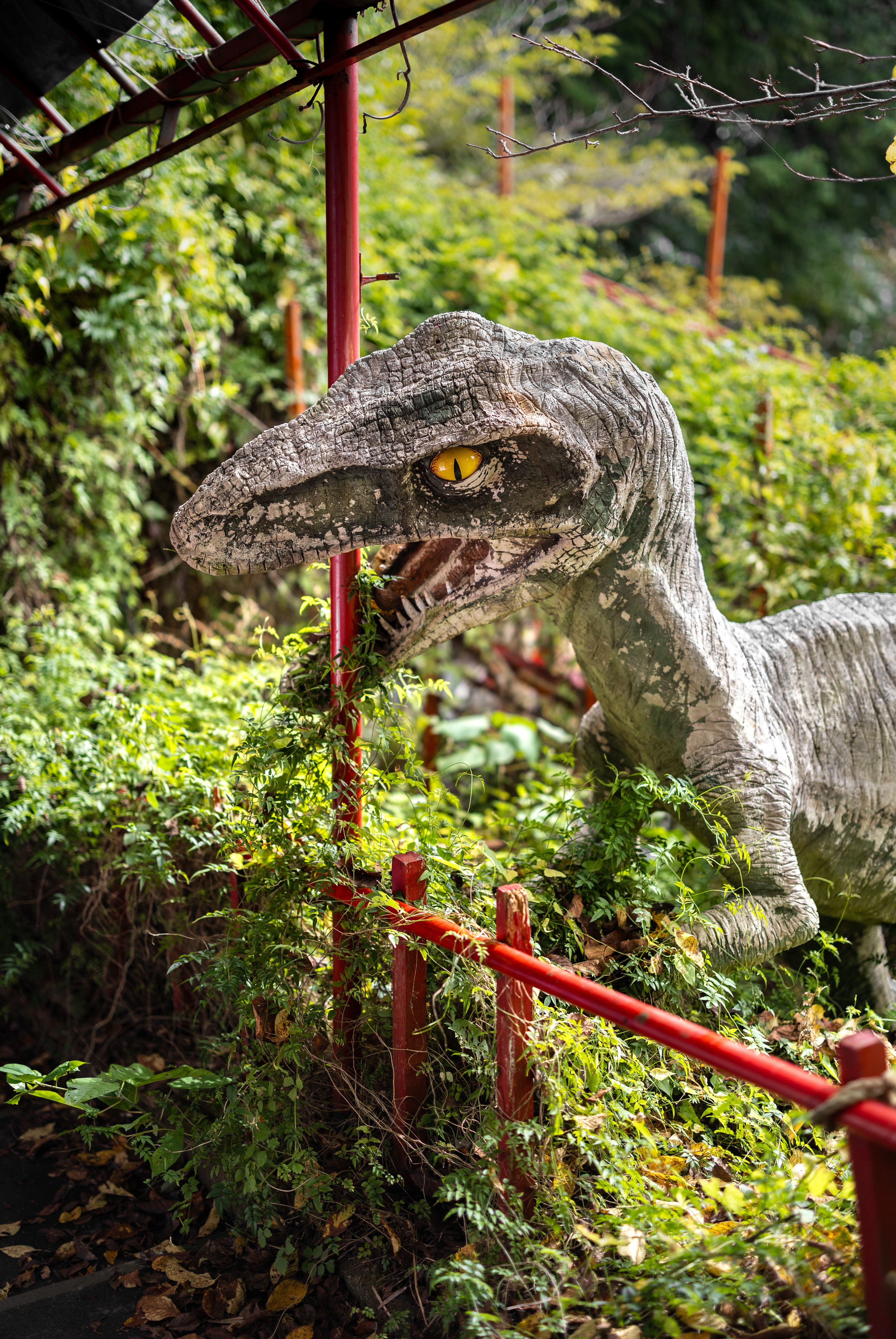 Real Dinosaur Photos, Download The BEST Free Real Dinosaur Stock Photos ...