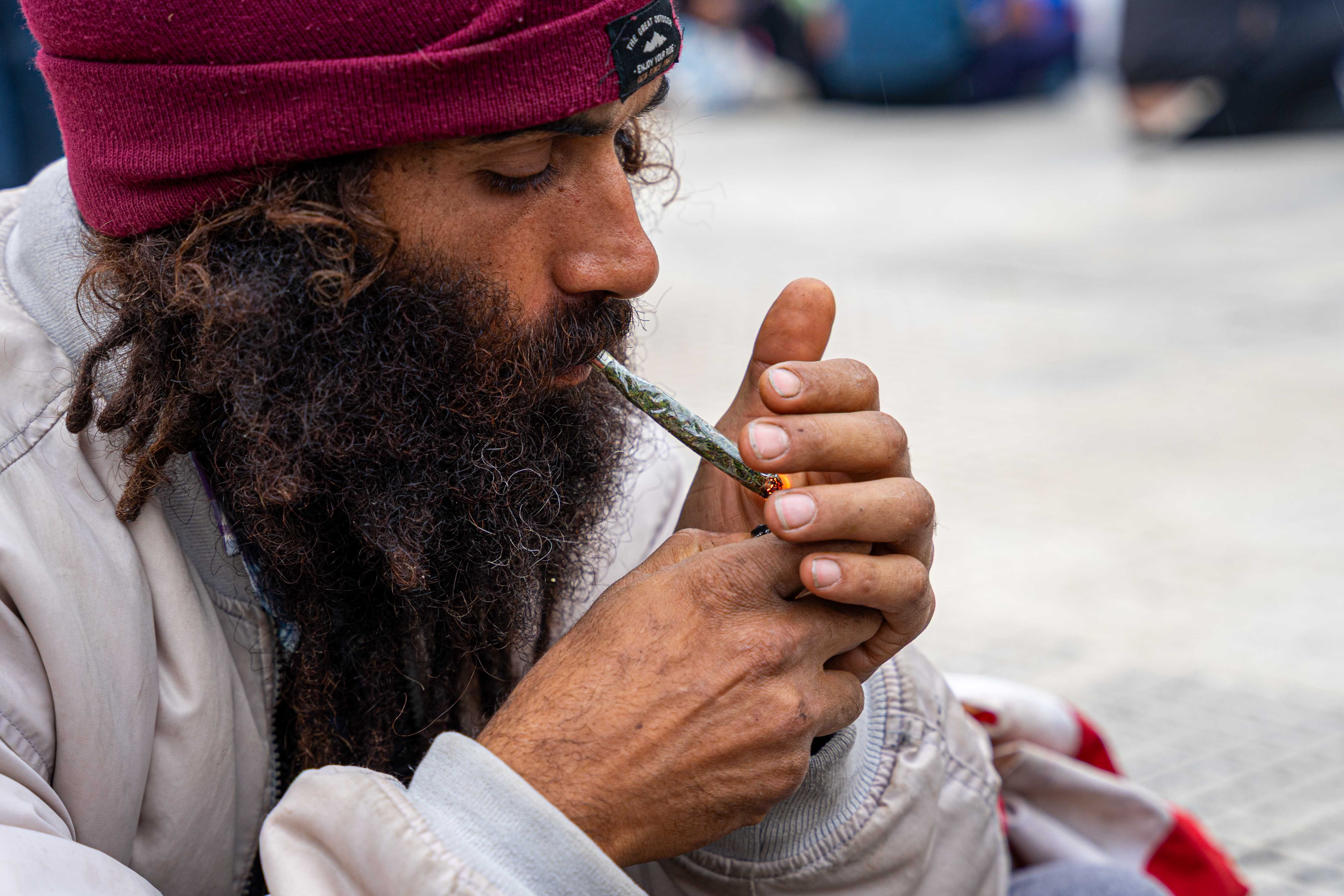 Ganja Photos, Download The BEST Free Ganja Stock Photos & HD Images