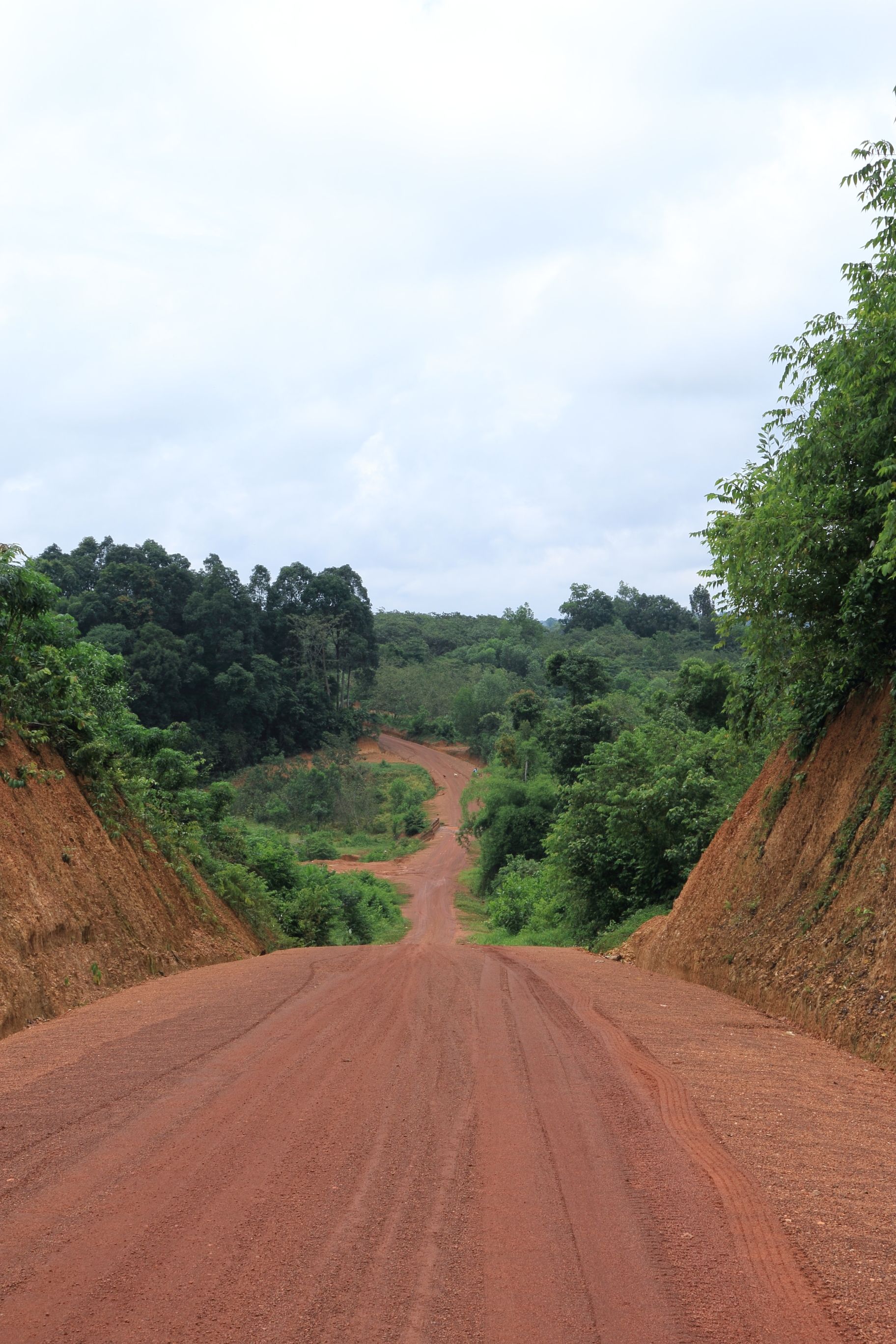 Red Dirt Path Through Verdant Landscape · Free Stock Photo