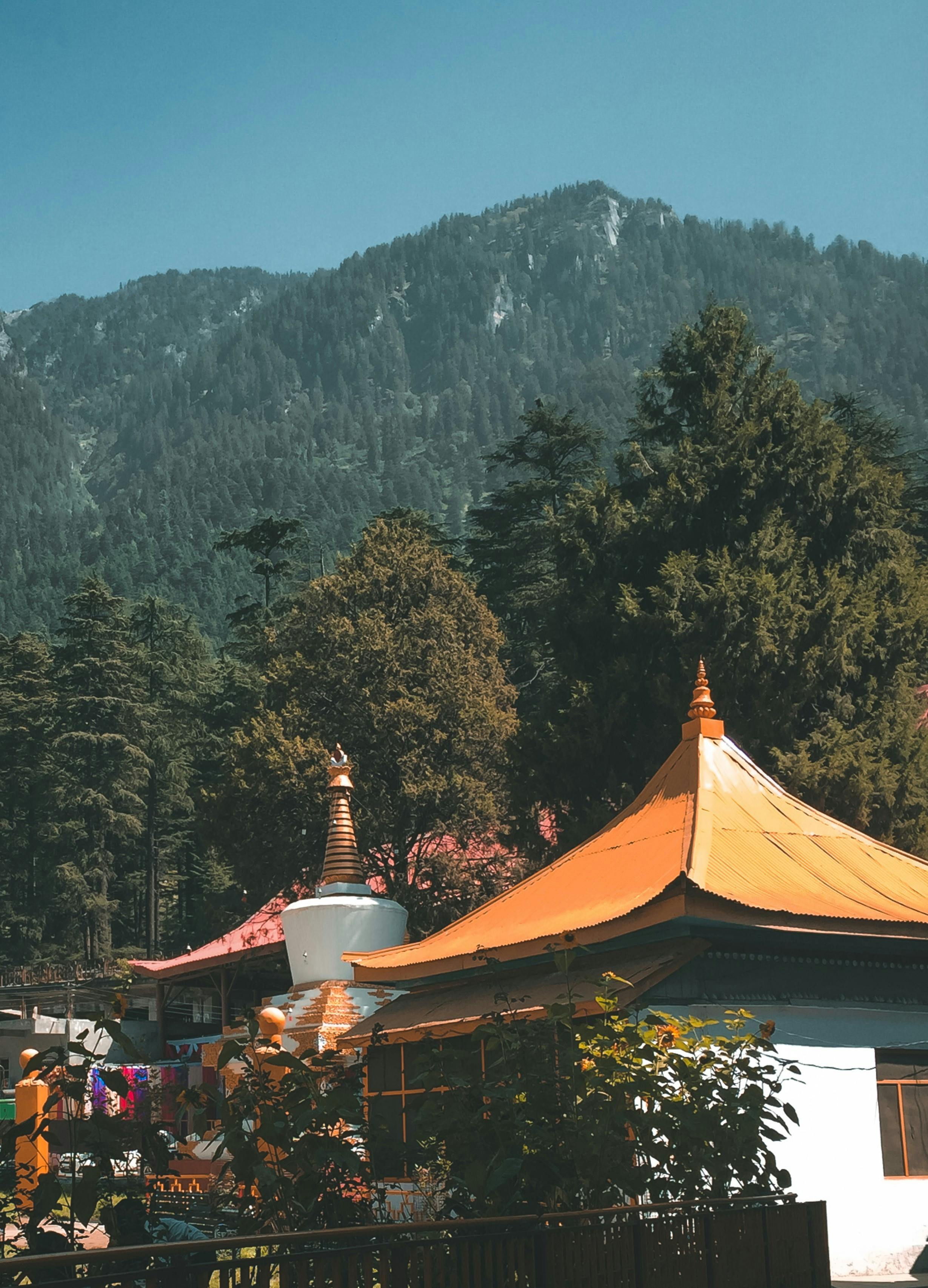 Window View Forest Photos, Download Free Window View Forest Stock ...