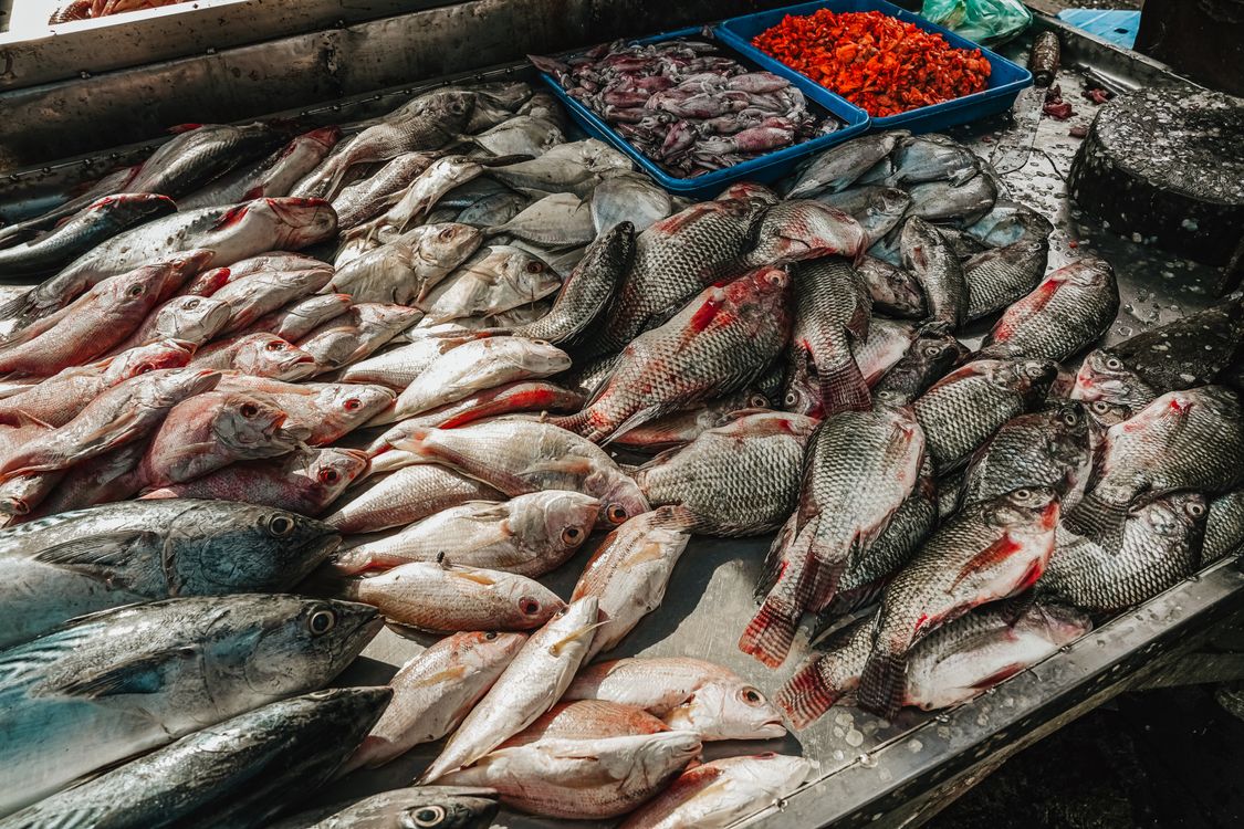 Fresh Seafood Display at Surabaya Market · Free Stock Photo