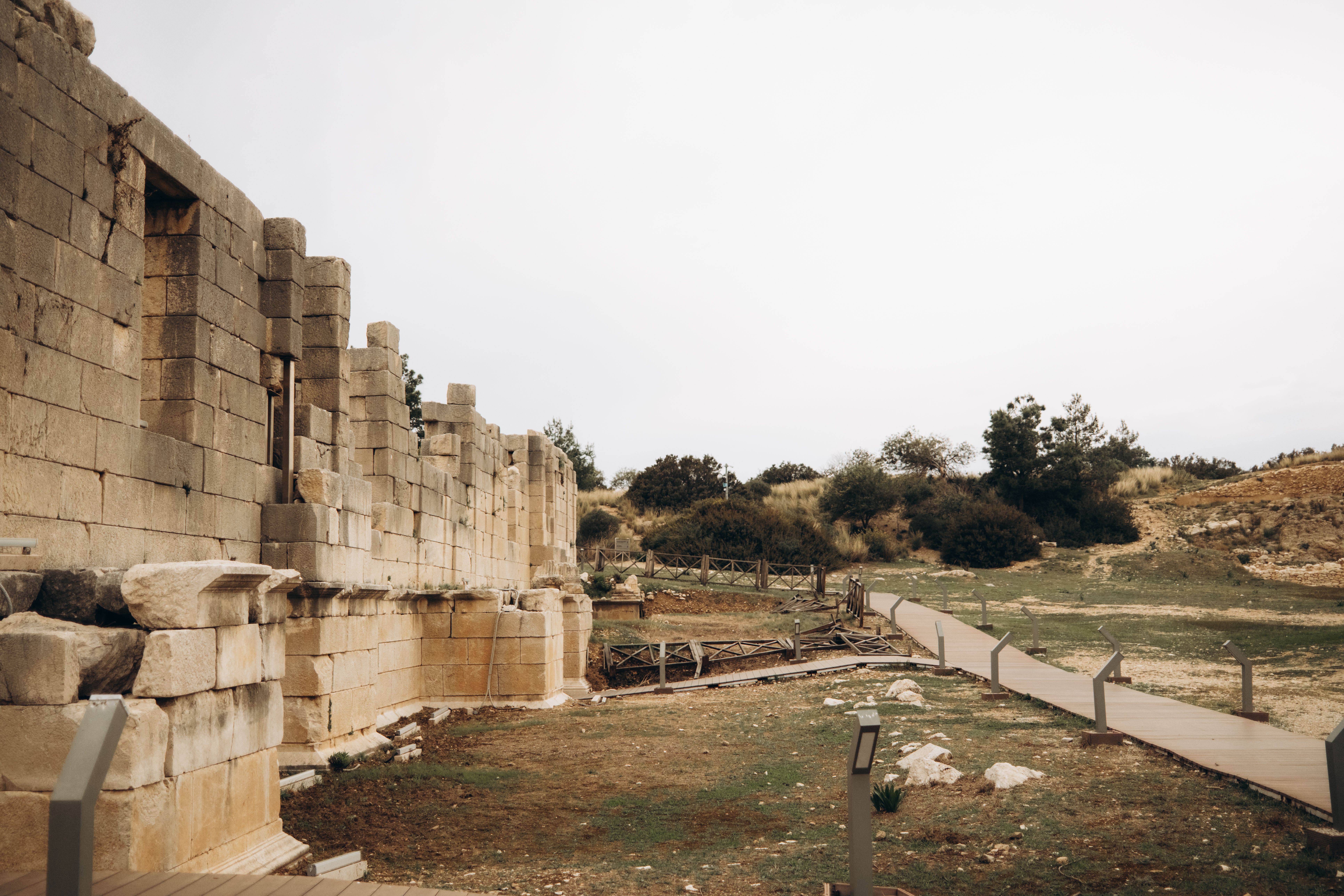 Wildflowers growing among ancient stone ruins