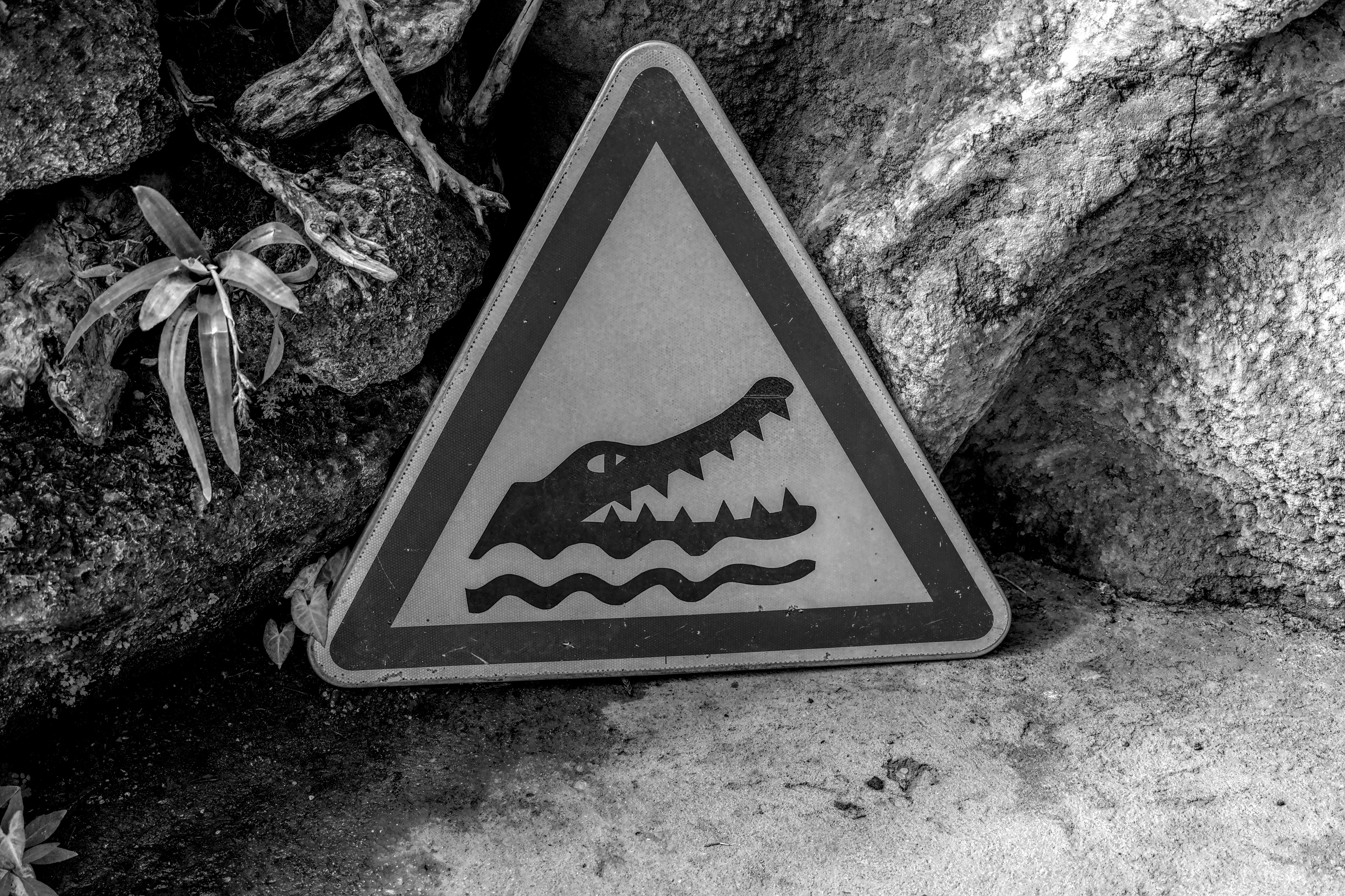 Dangerous Photos, Download The BEST Free Dangerous Stock Photos & HD Images