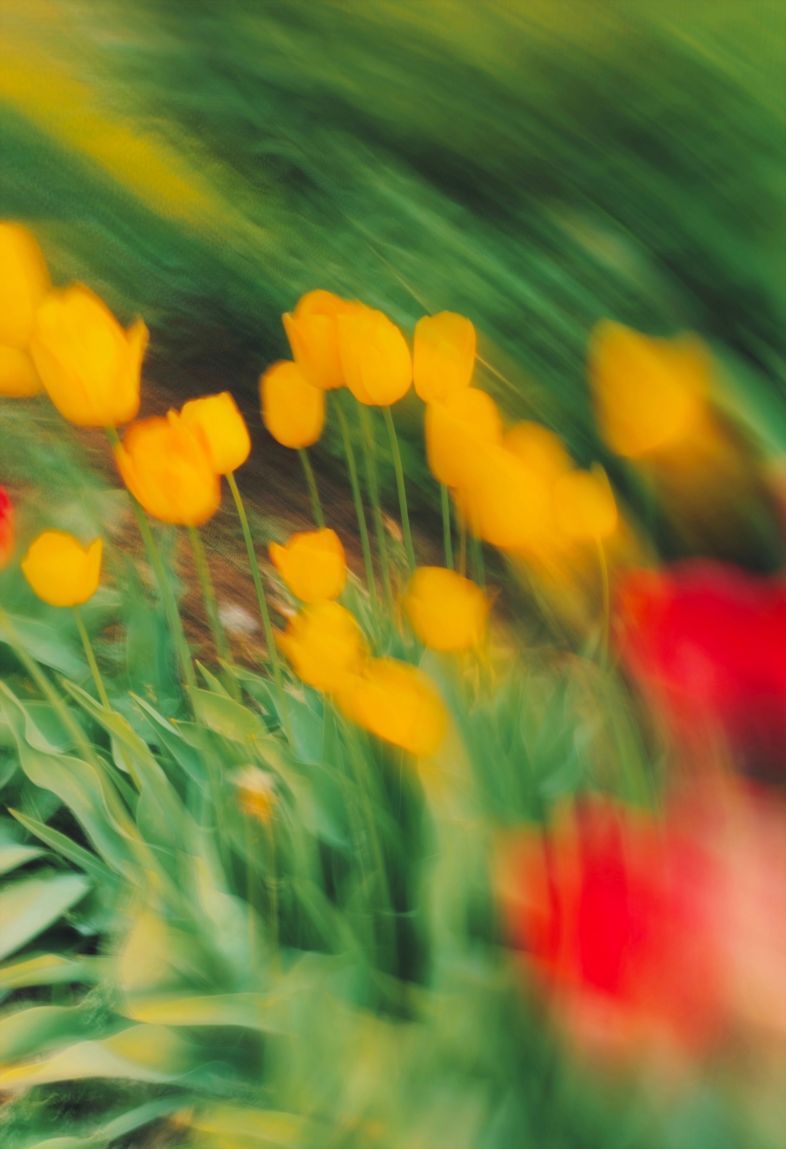 Abstract Spring Season Photos, Download The BEST Free Abstract Spring ...