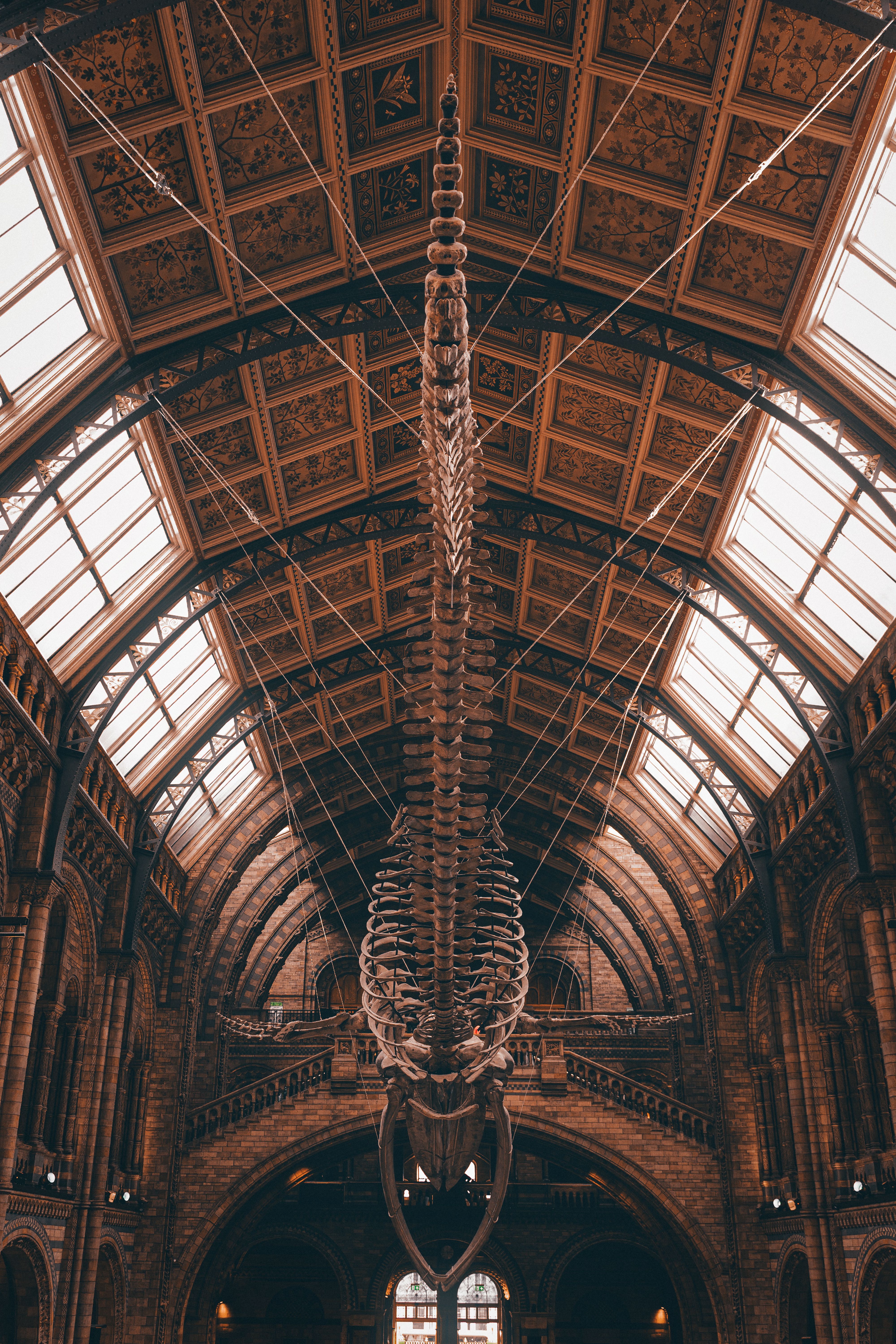 Museum Wallpaper Photos, Download The BEST Free Museum Wallpaper Stock ...