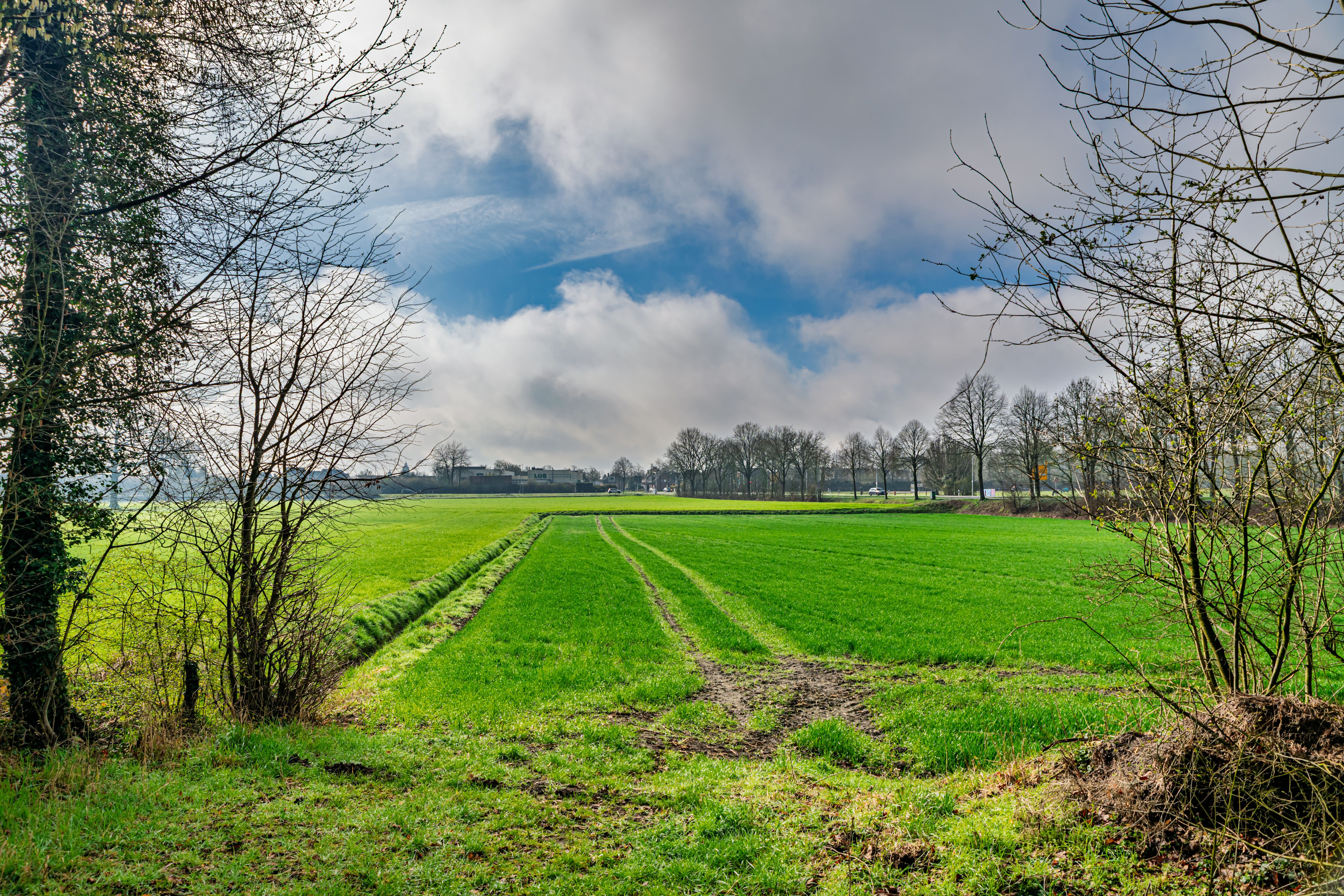 Weelderig Groen Veld In Coesfeld Tijdens De Lente · Gratis stockfoto
