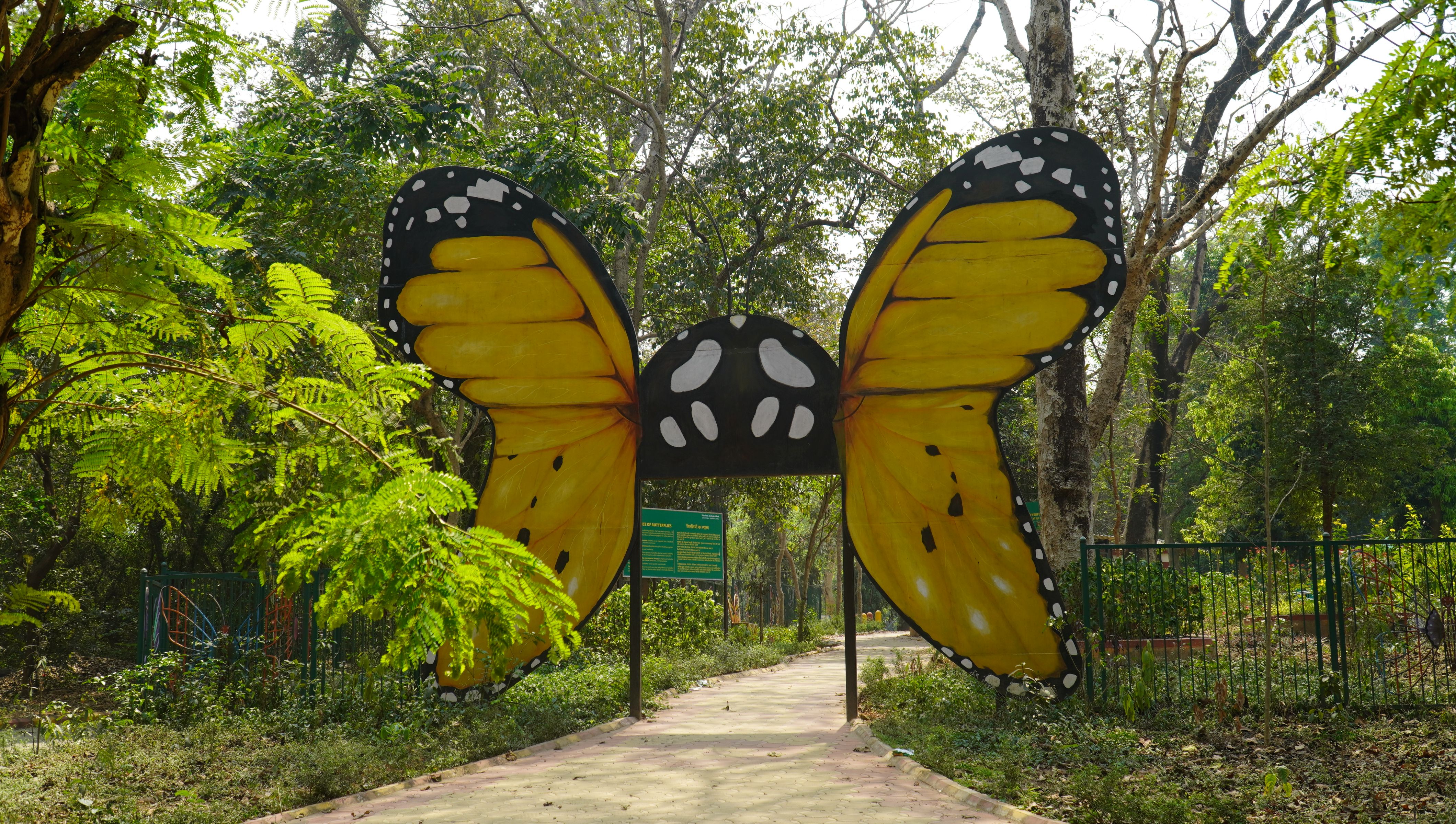 Butterfly Trail Photos, Download The BEST Free Butterfly Trail Stock ...
