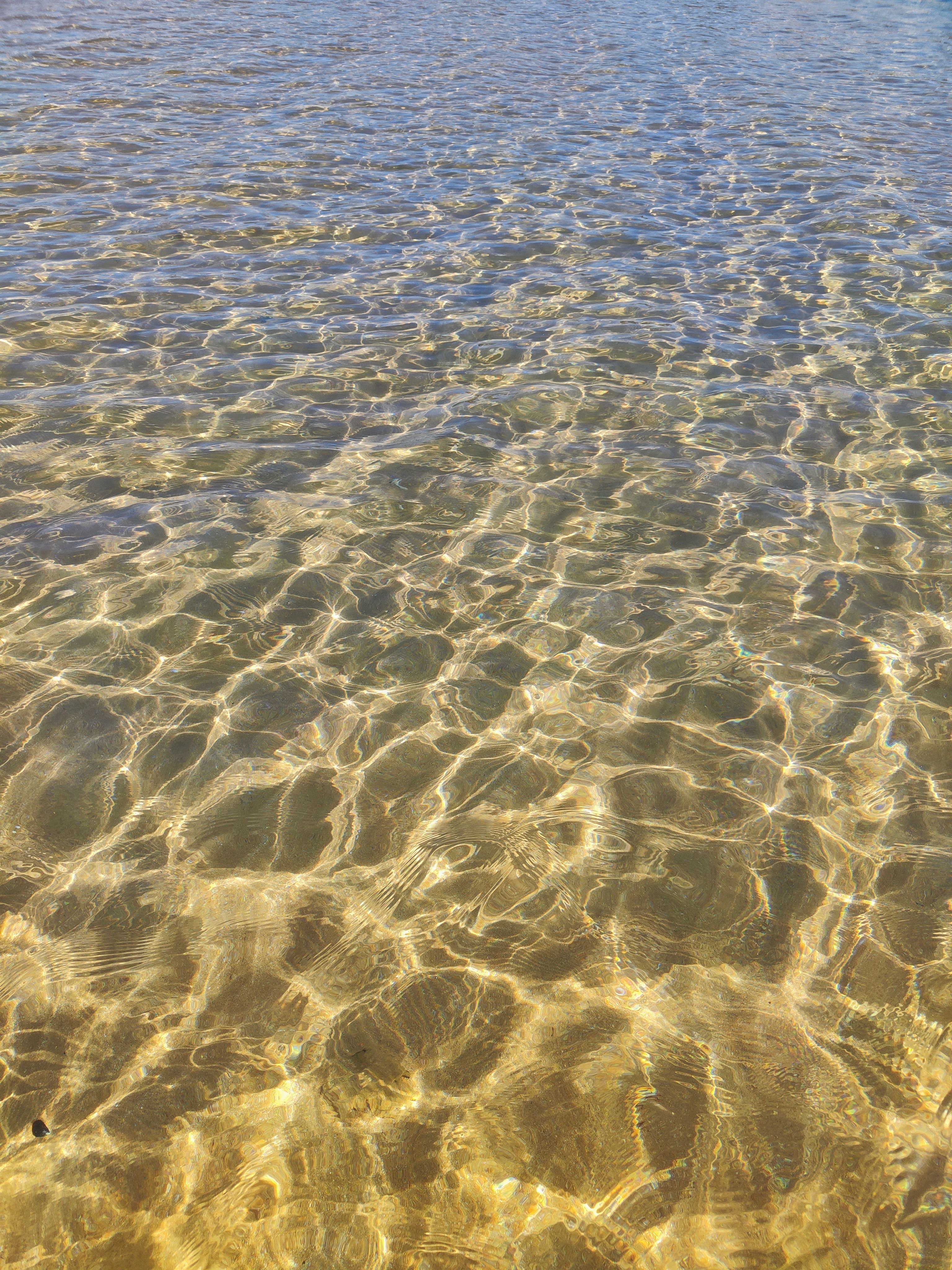 Water View Photos, Download The BEST Free Water View Stock Photos & HD ...
