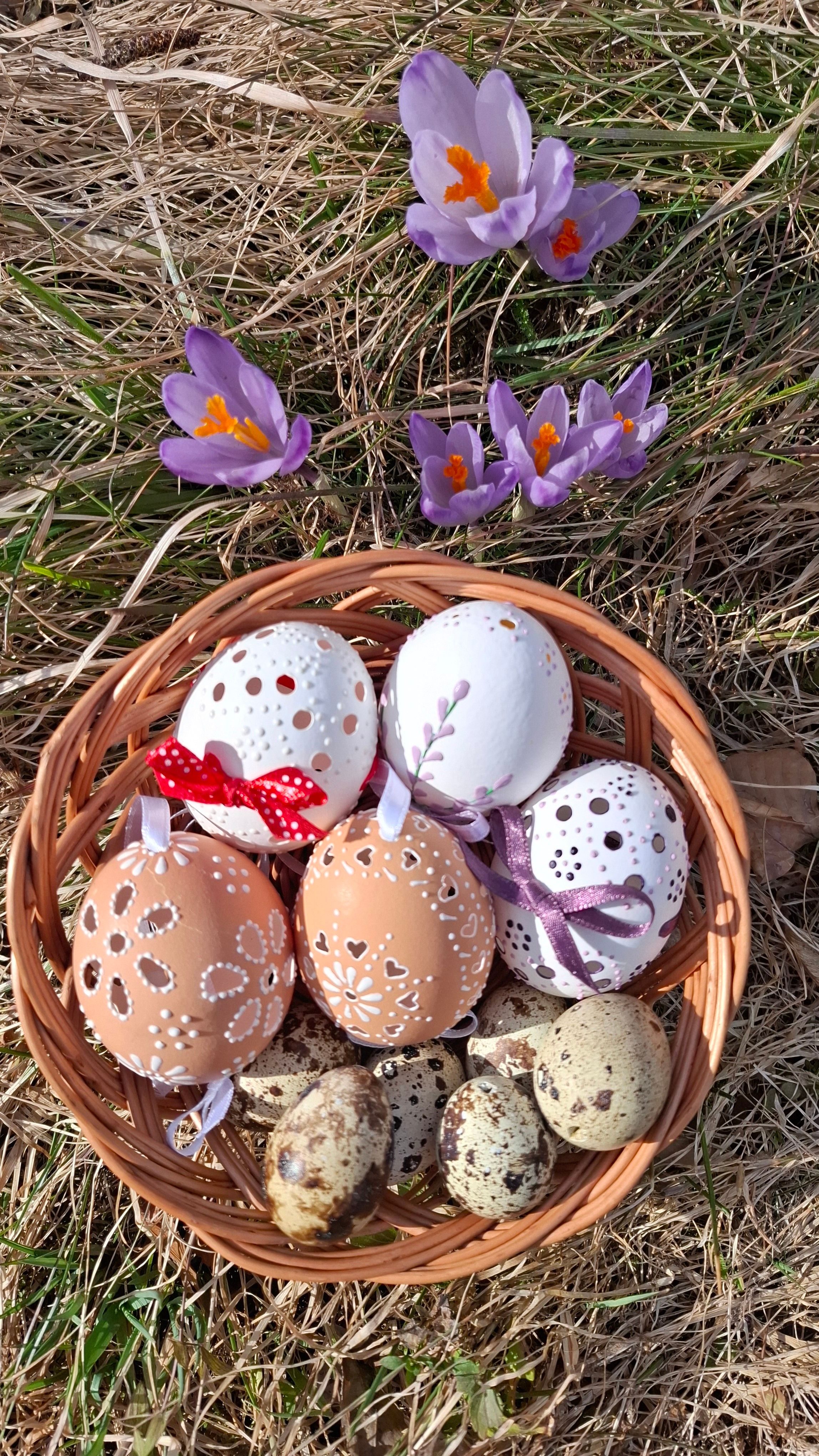 Ylanite Koppens Easter Photos, Download The BEST Free Ylanite Koppens ...