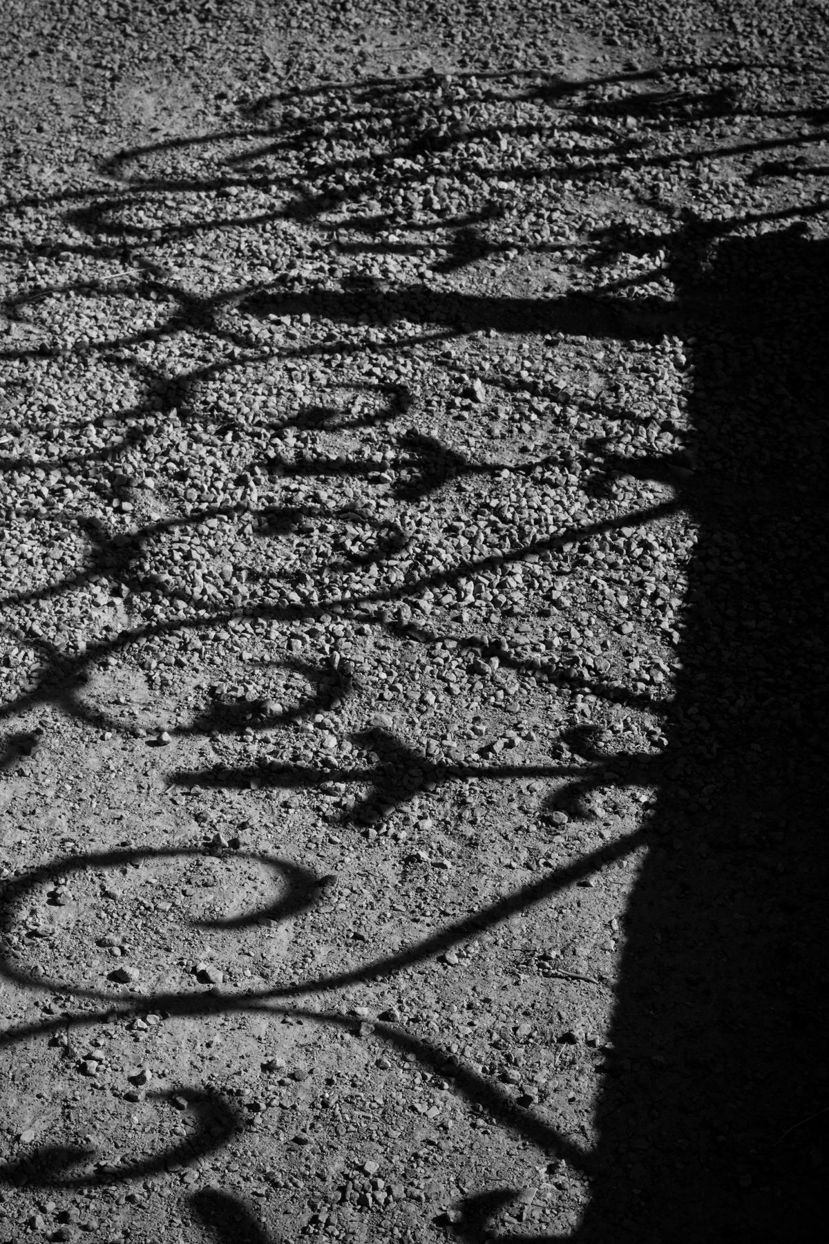 Shadows Photos, Download The BEST Free Shadows Stock Photos & HD Images