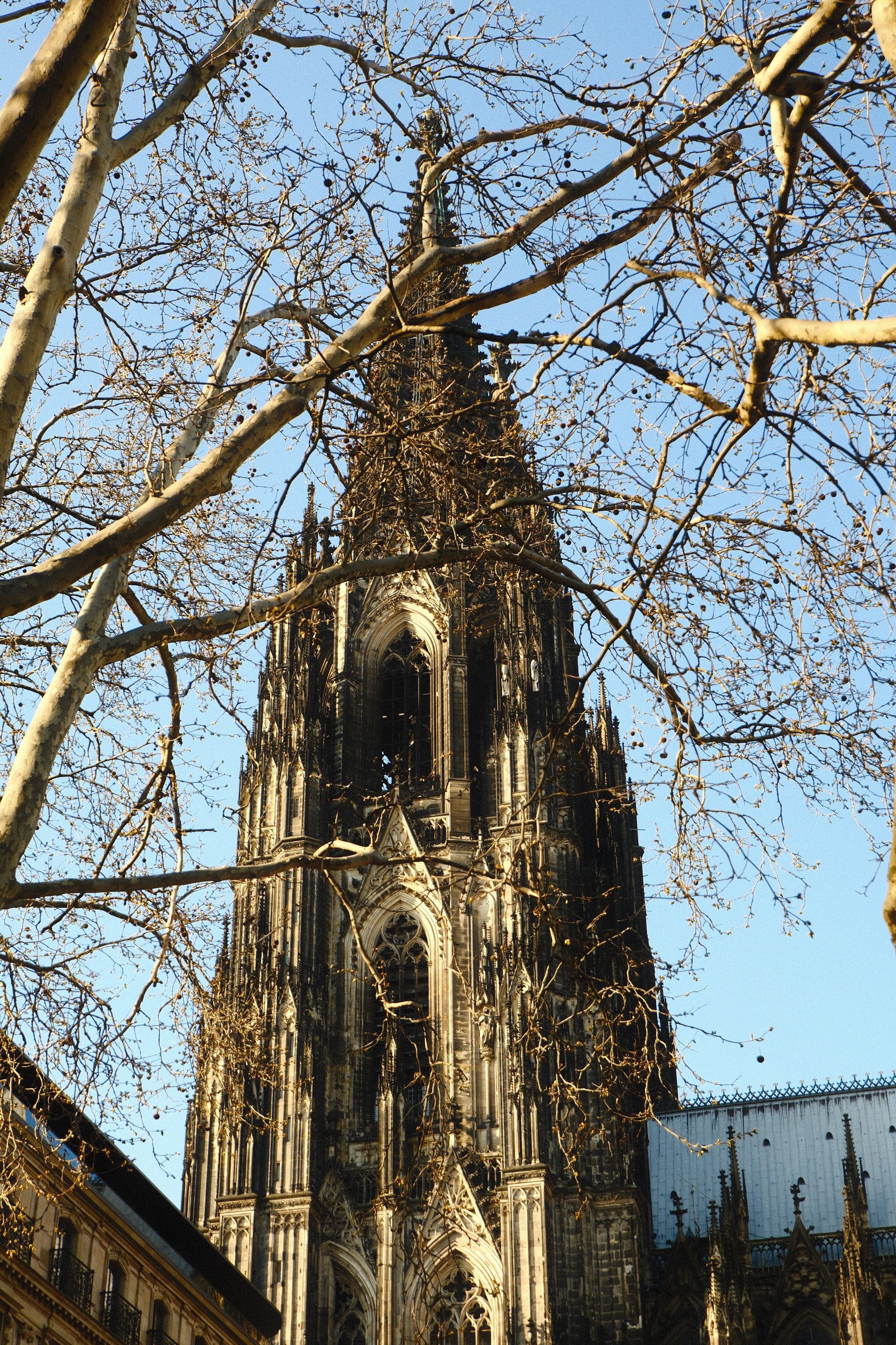 Cologne Cathedral Spire through Winter Branches · Free Stock Photo