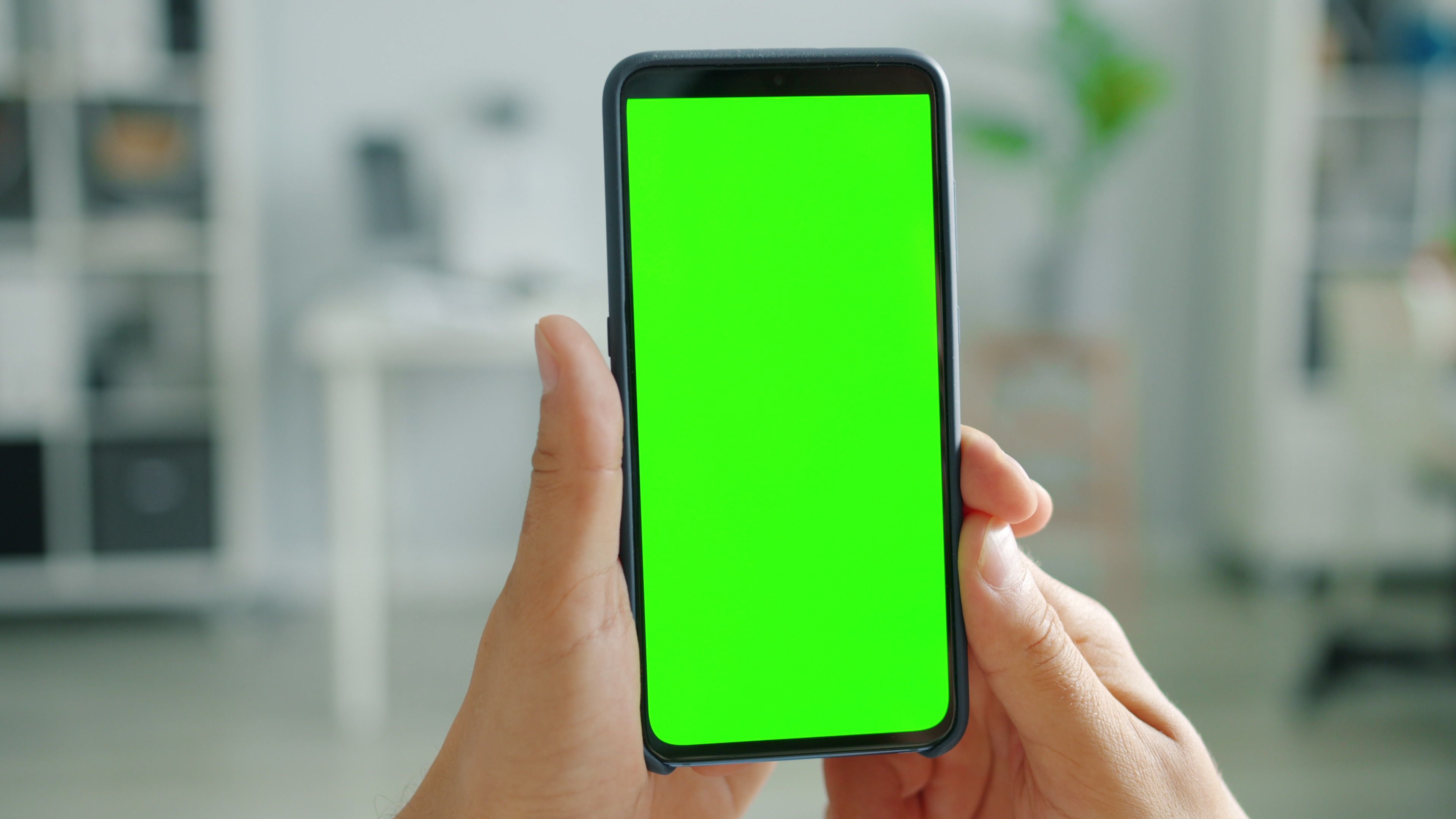 Green Screen Background For Zoom Photos, Download The BEST Free Green ...