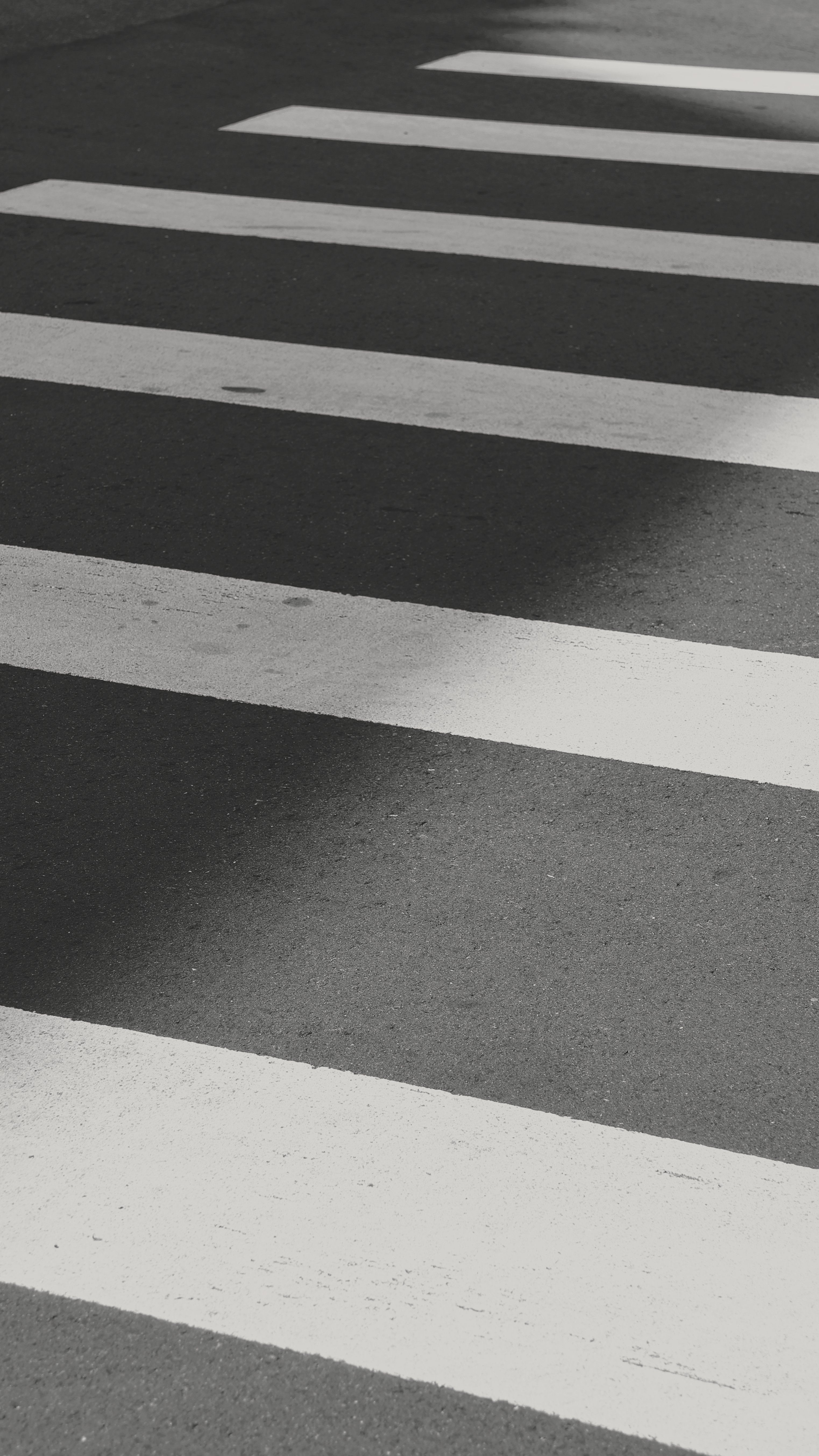 Zebra Crossing Photos, Download The BEST Free Zebra Crossing Stock ...