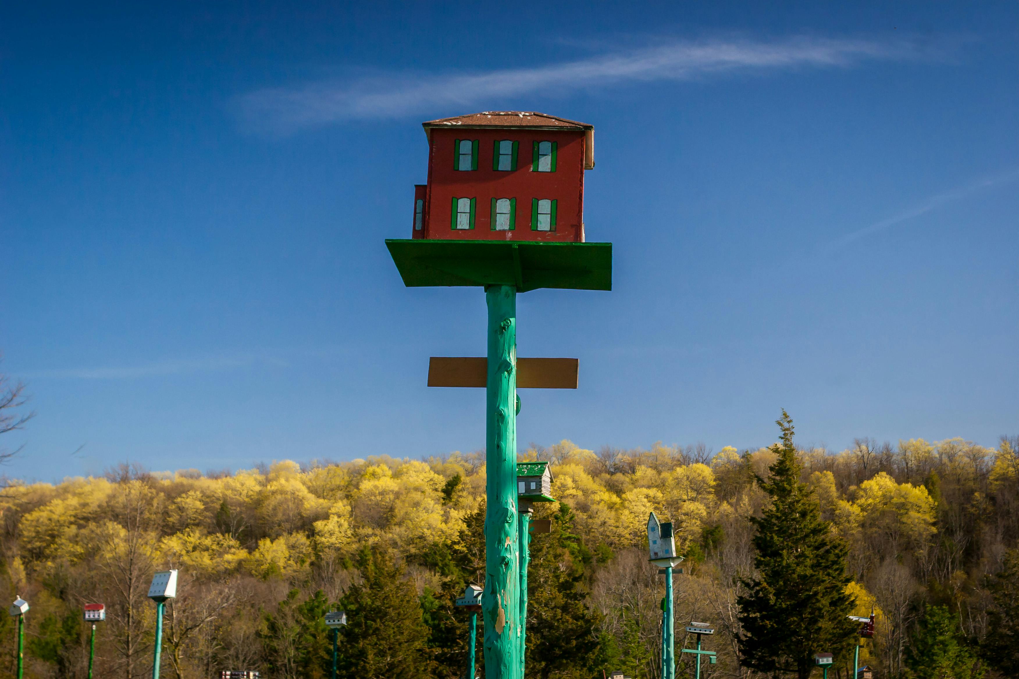 Ian Taylor - Photography