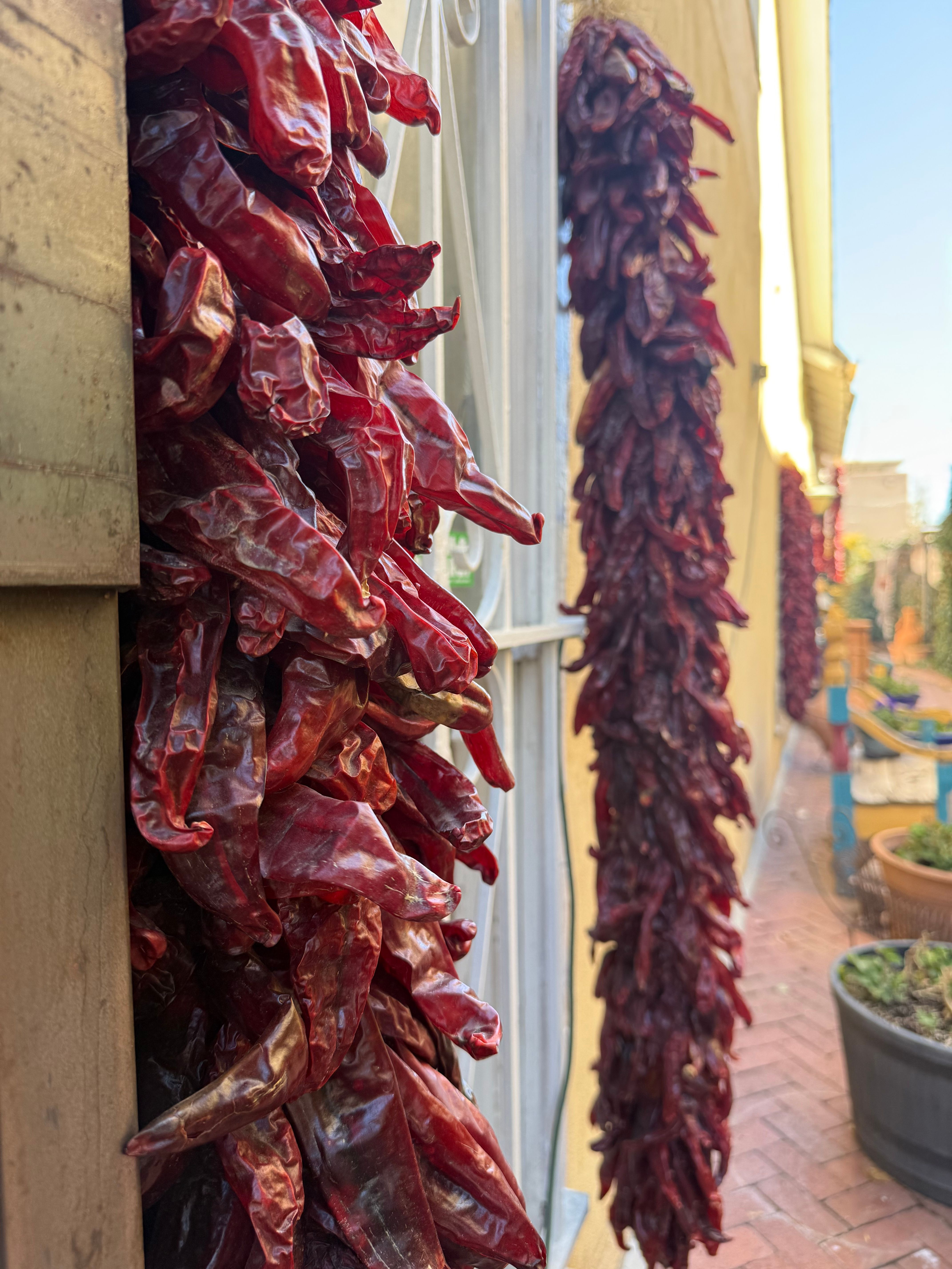 Ristras of Red Chili Peppers Hanging Outdoors · Free Stock Photo