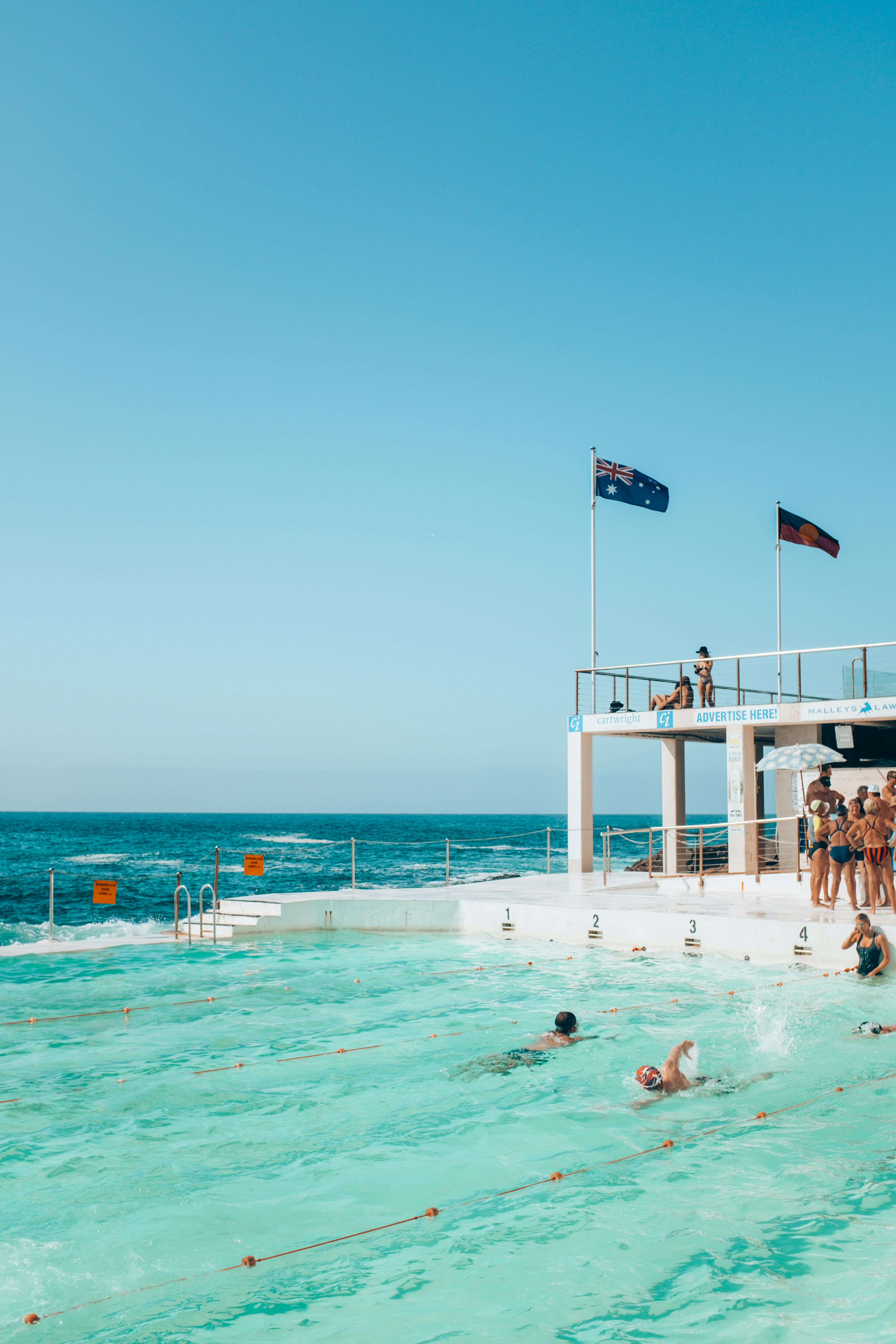 People Gathering Near Swimming Pool · Free Stock Photo