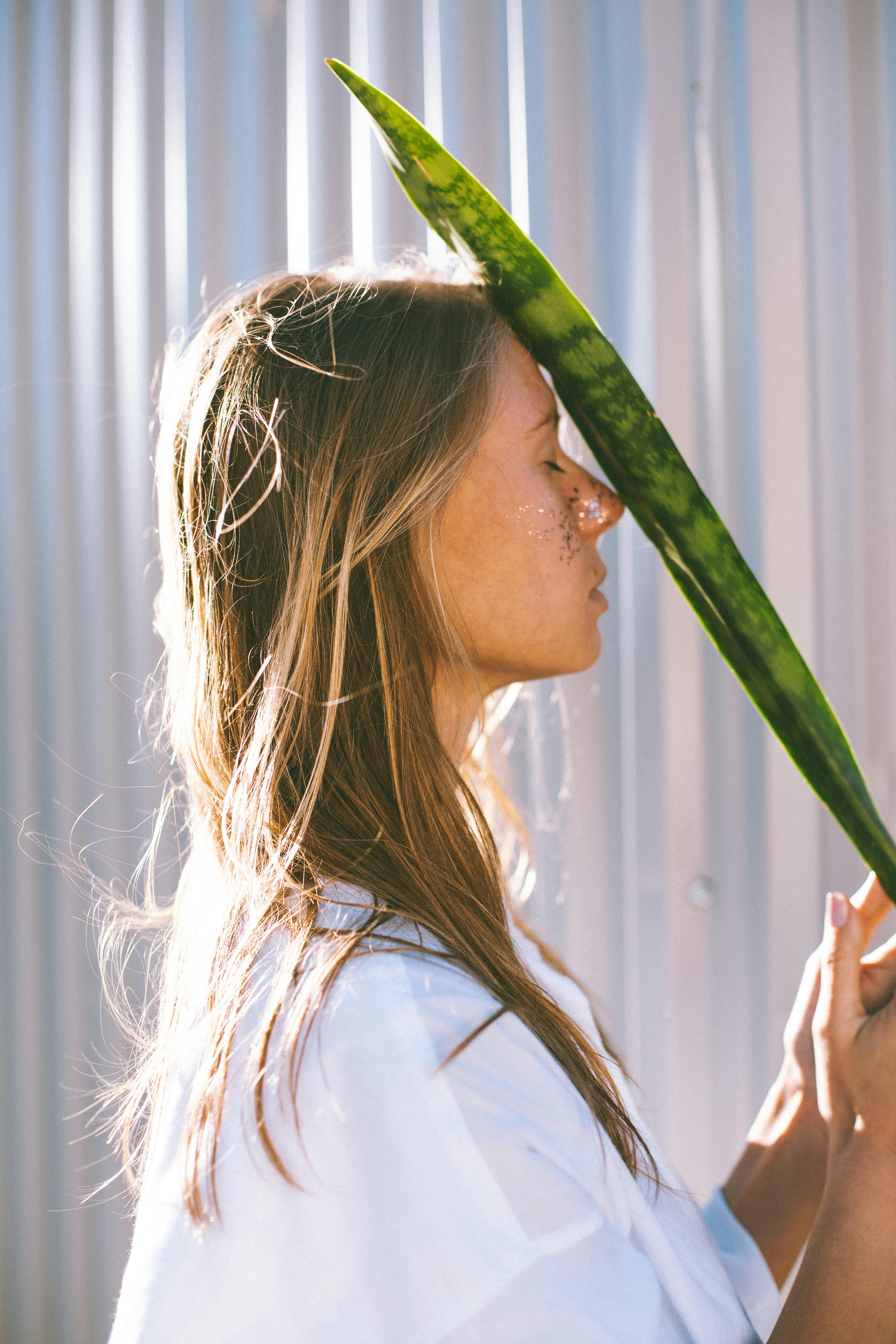 3,000+ Best Healing Photos · 100% Free Download · Pexels Stock Photos