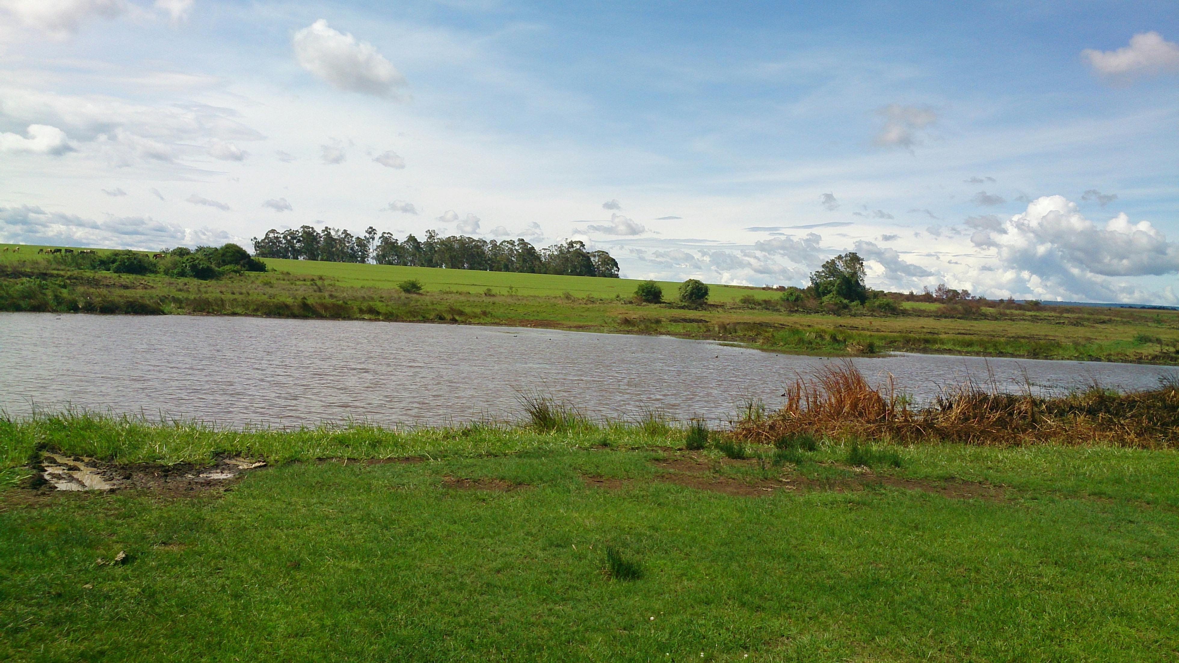 Free stock photo of Small farm dam