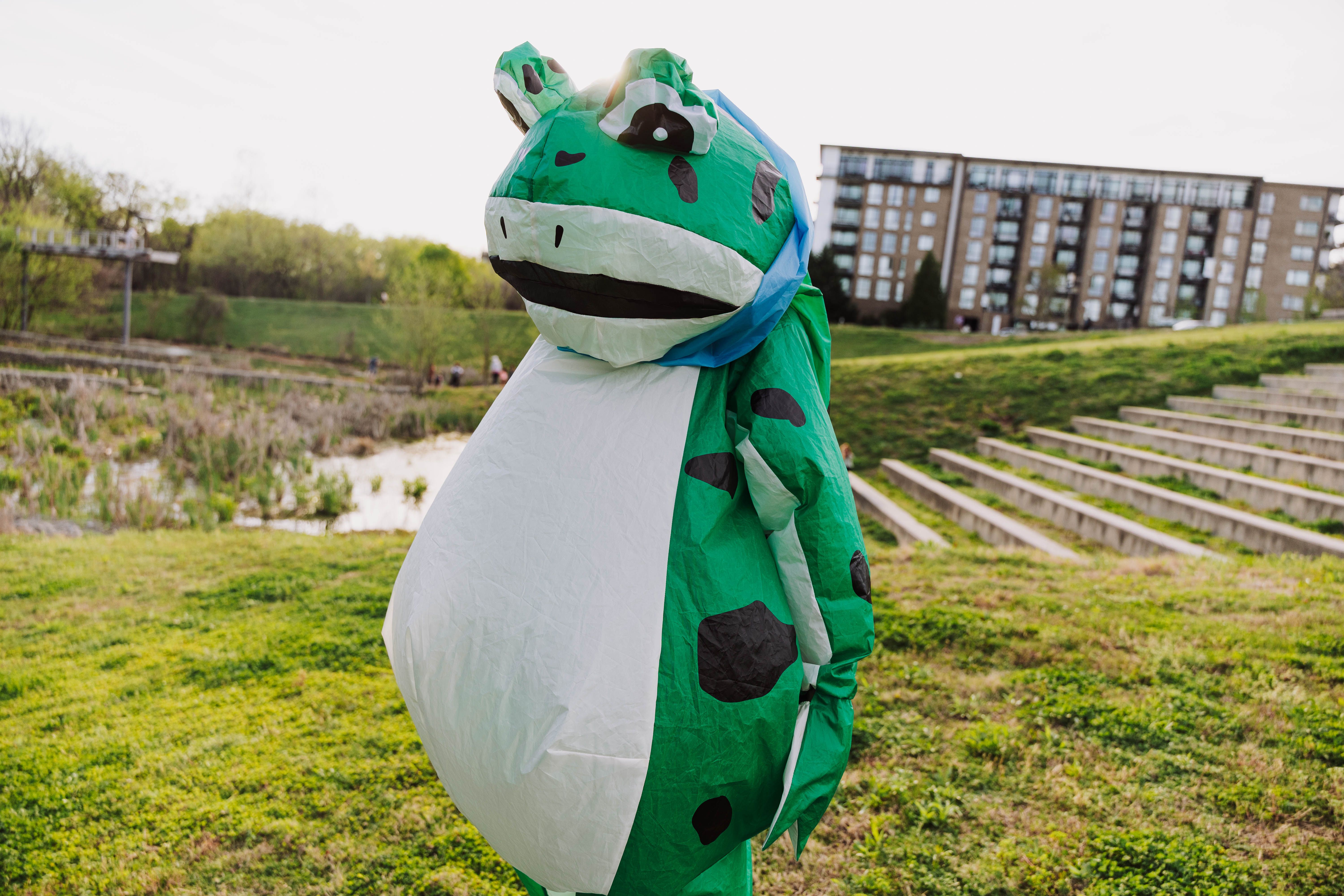 Person in Frog Costume Outdoors Near Buildings · Free Stock Photo