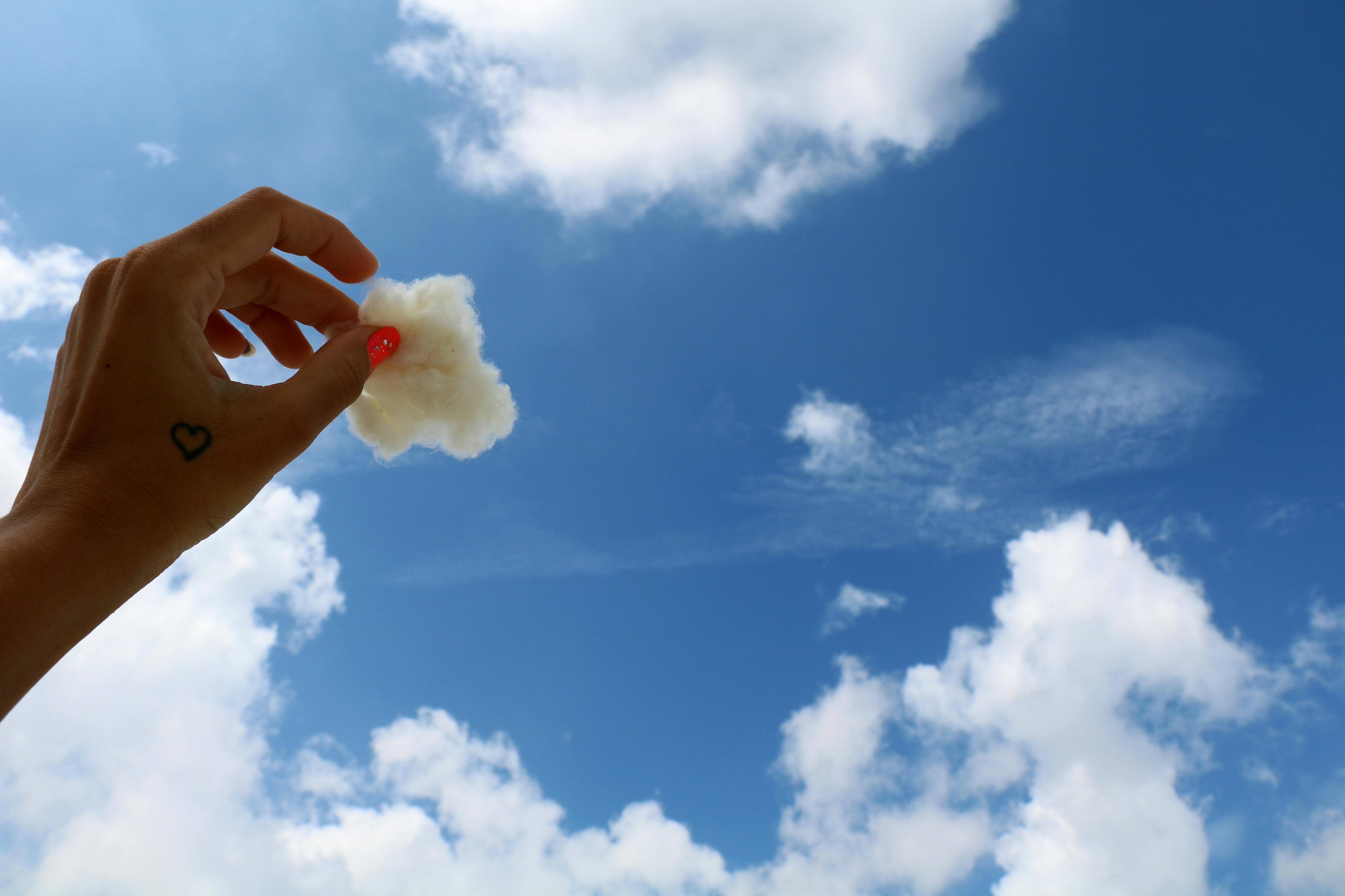 Hand Holding Item Photos, Download The BEST Free Hand Holding Item ...