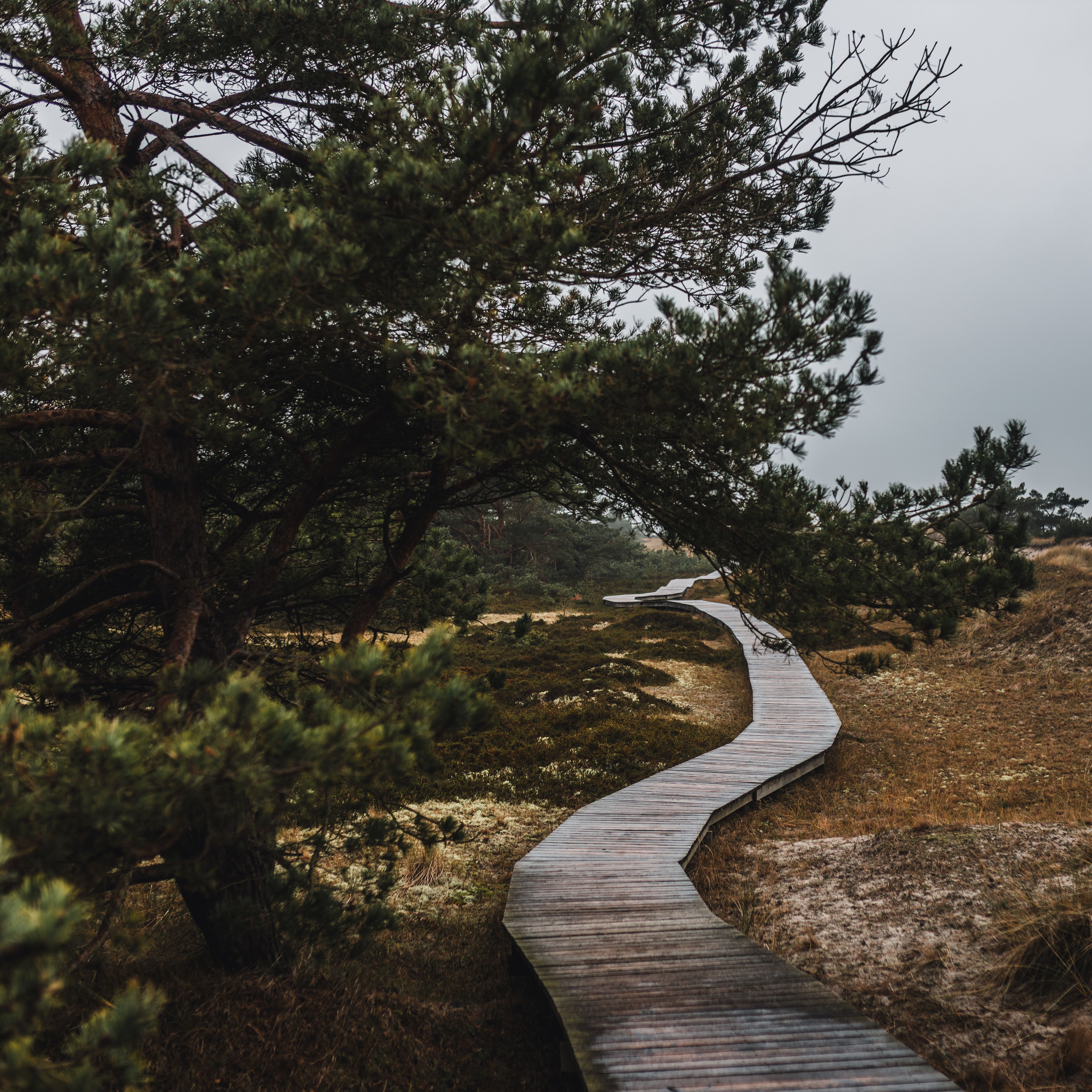 Windy Path Photos, Download The BEST Free Windy Path Stock Photos & HD ...