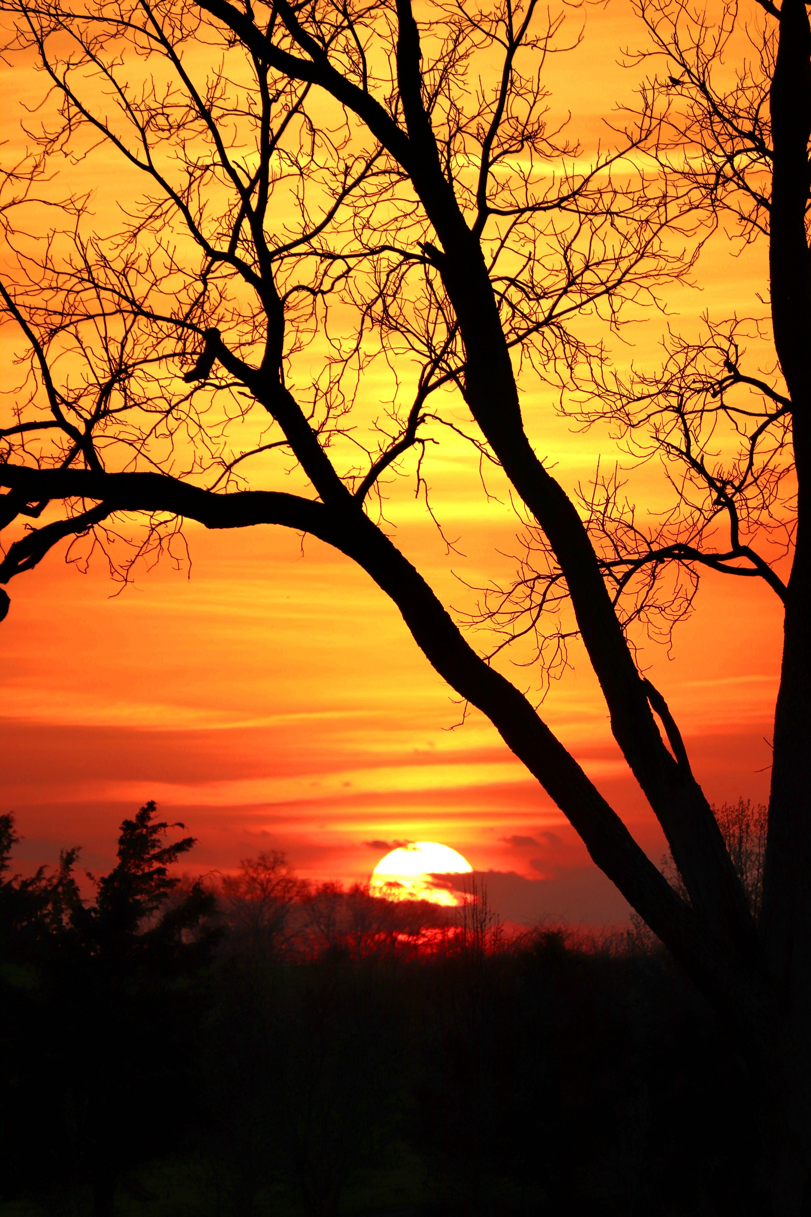 Nature Photography Sunset Photos, Download The BEST Free Nature ...