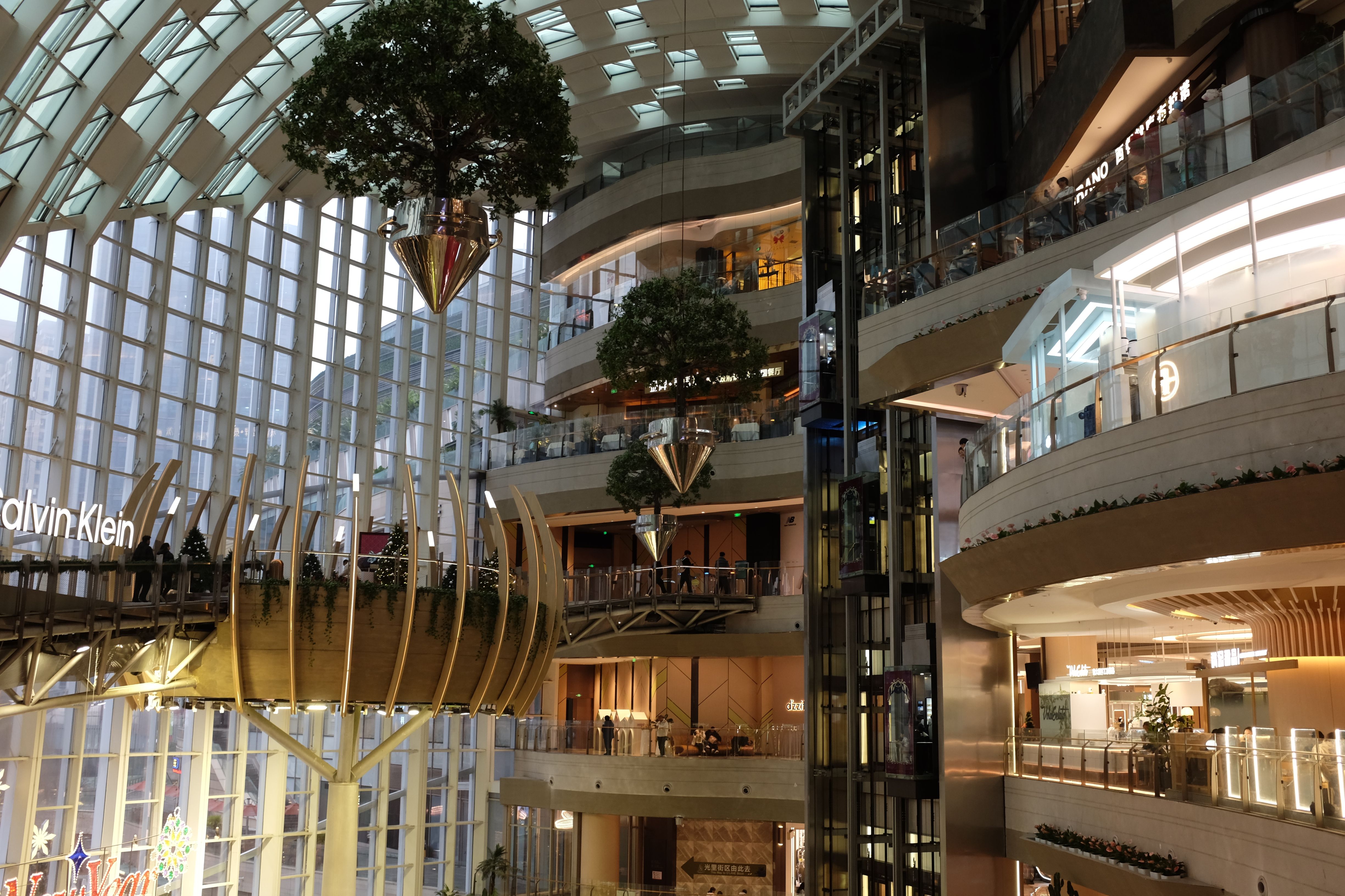 Modern Shopping Mall with Indoor Trees · Free Stock Photo