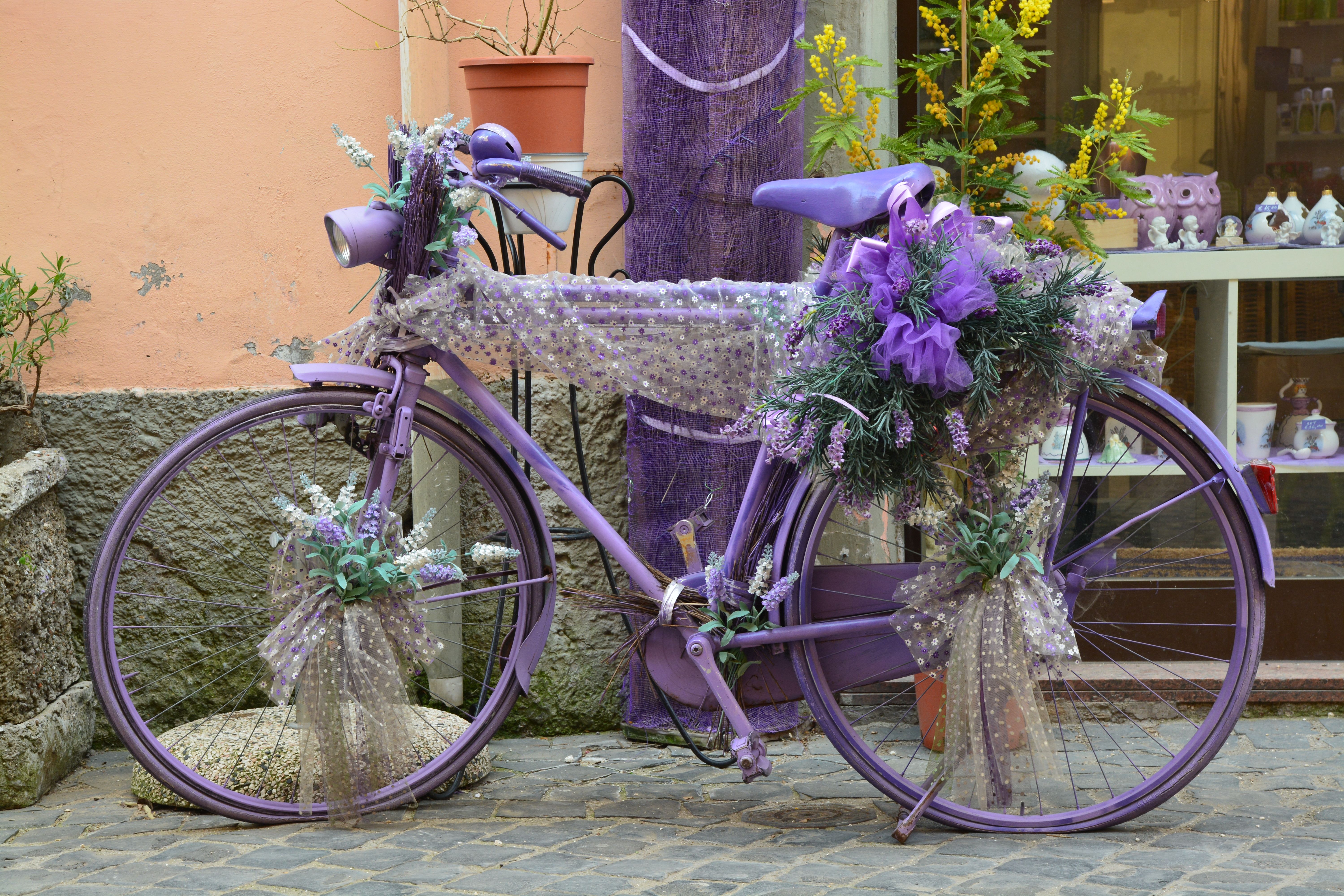 Lavender Decorated Vintage Bicycle Outdoors · Free Stock Photo
