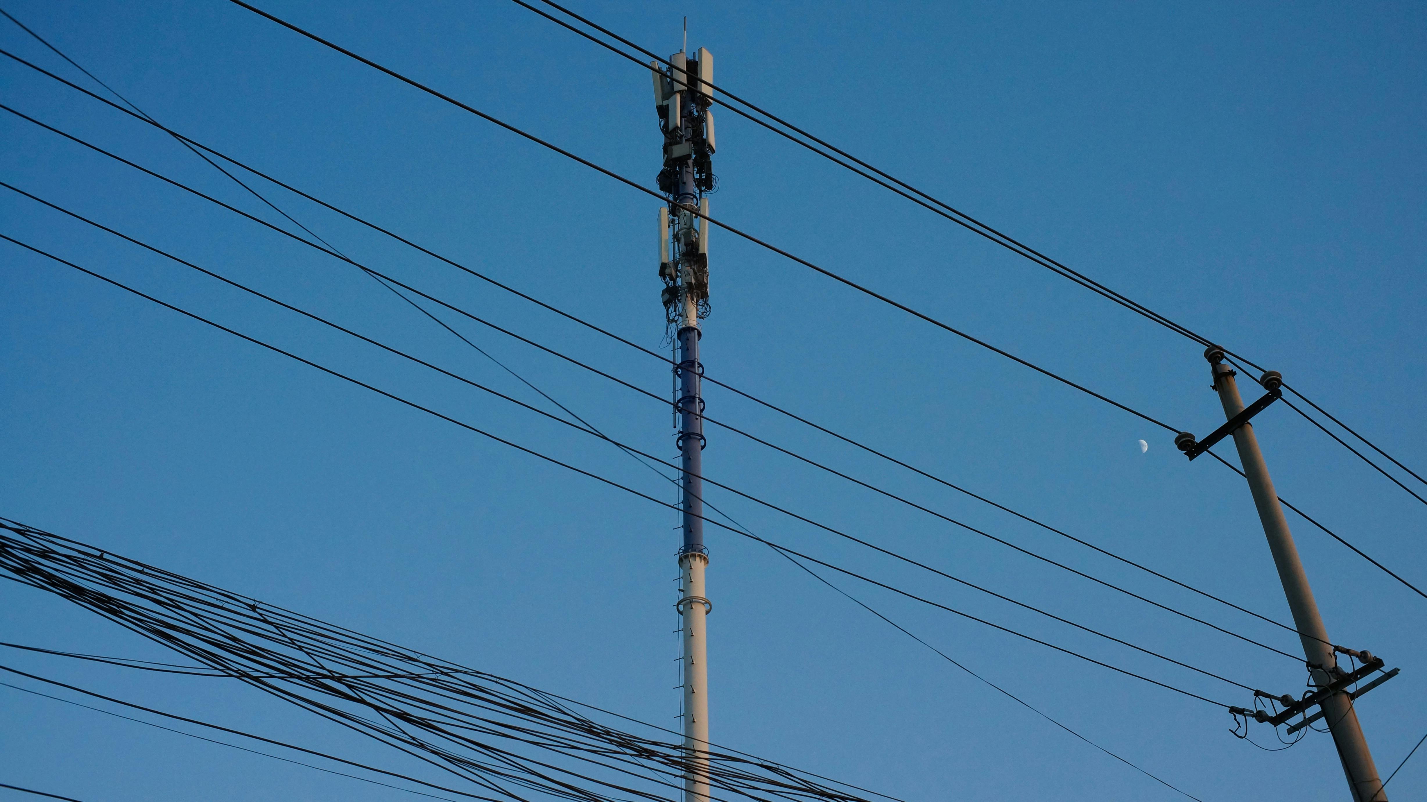 zhao yang - Fotografía