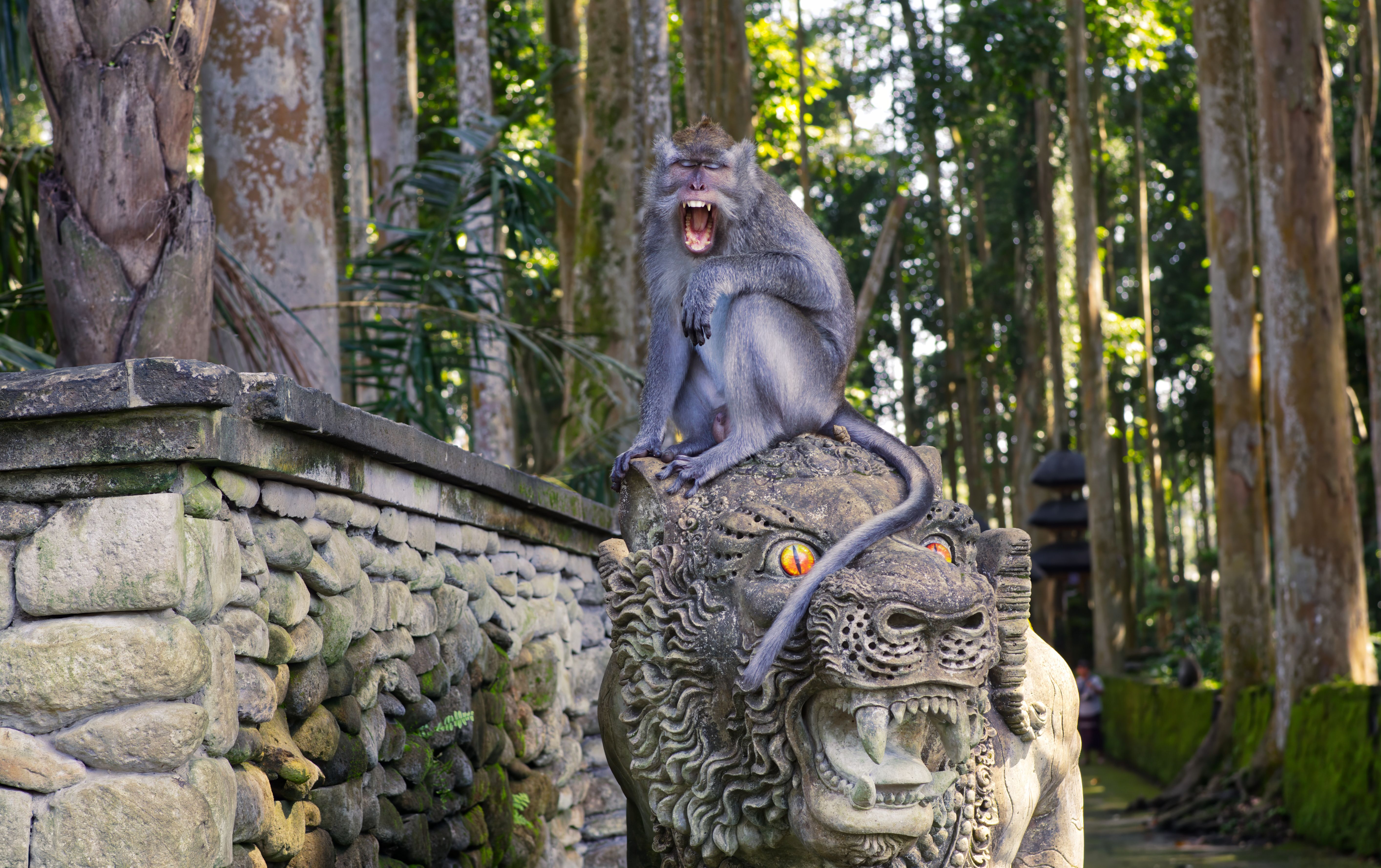 Monkey atop Stone Statue in Ubud, Bali Forest · Free Stock Photo