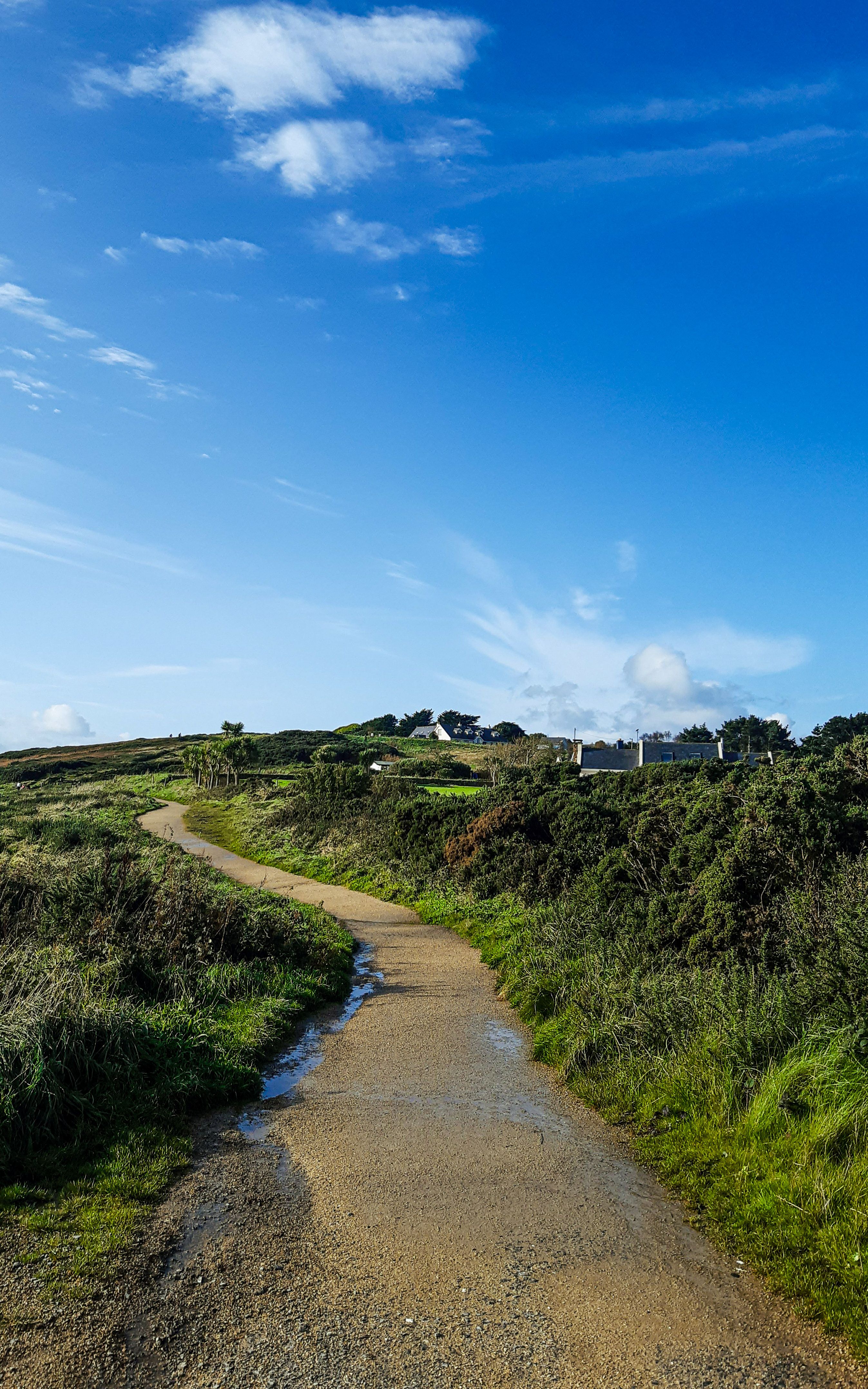 Landscape Beace Photos, Download The BEST Free Landscape Beace Stock ...
