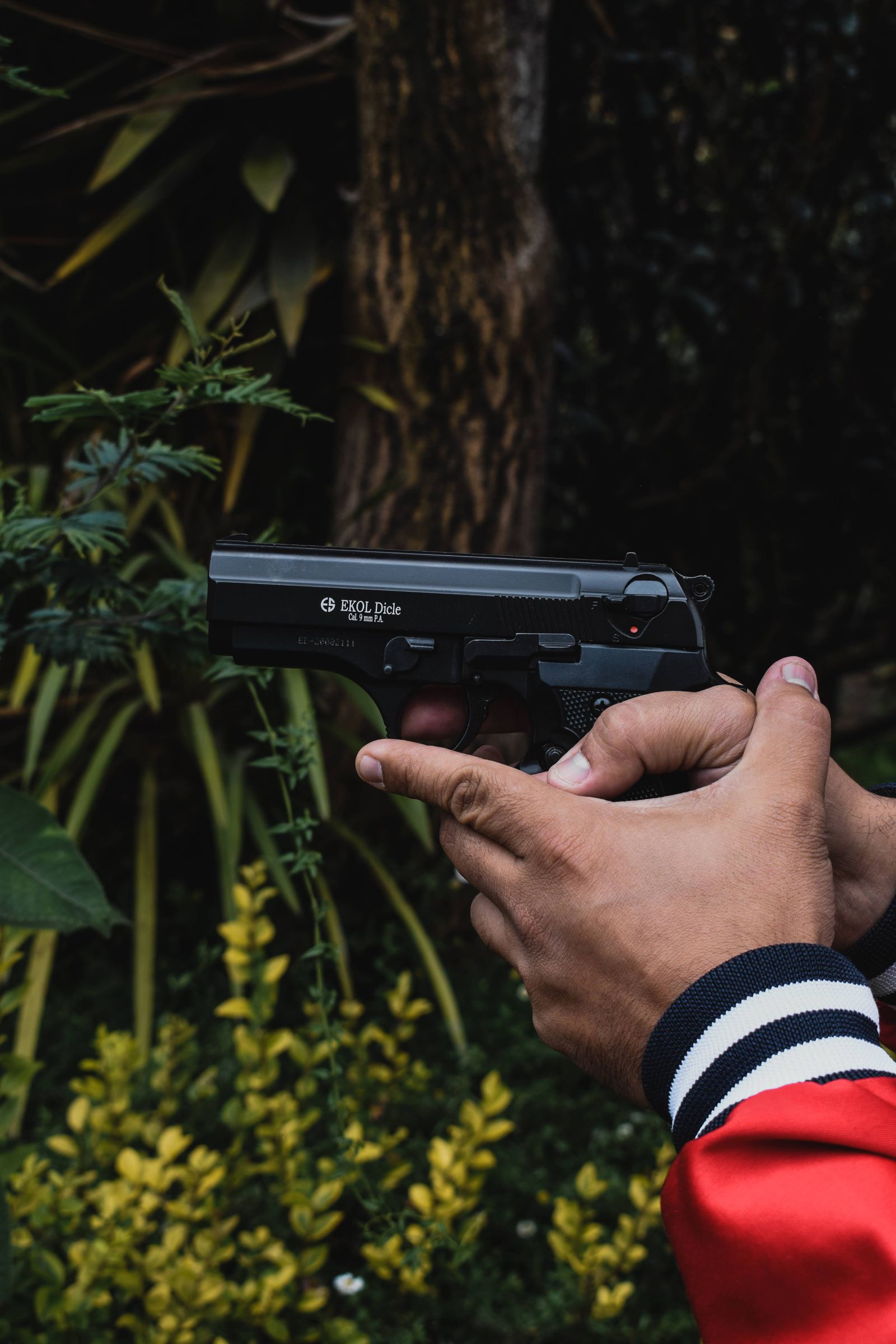 Gun+Pfp Photos, Download The BEST Free Gun+Pfp Stock Photos & HD Images