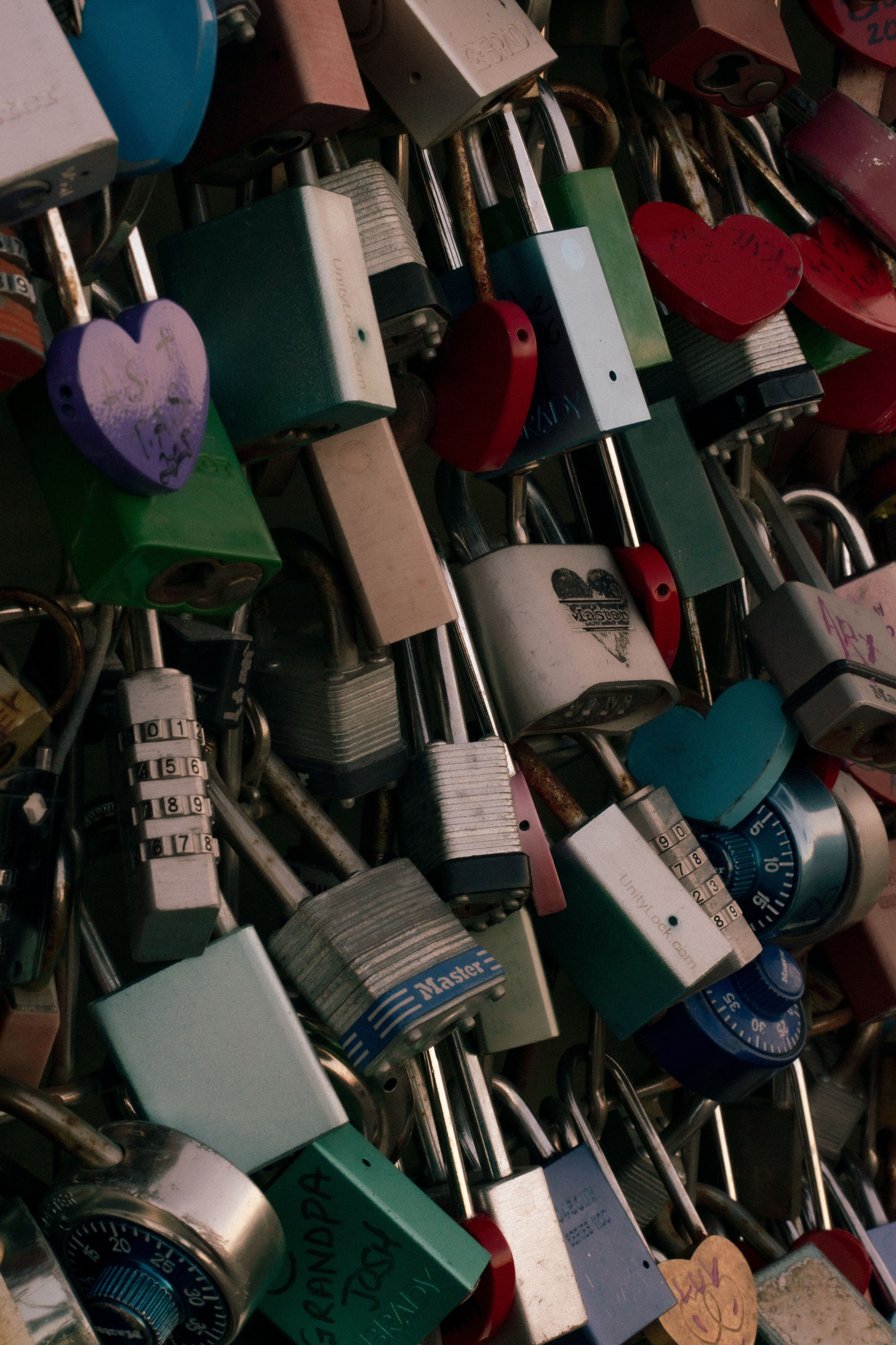 Coco Lovelock Photos, Download The BEST Free Coco Lovelock Stock Photos ...