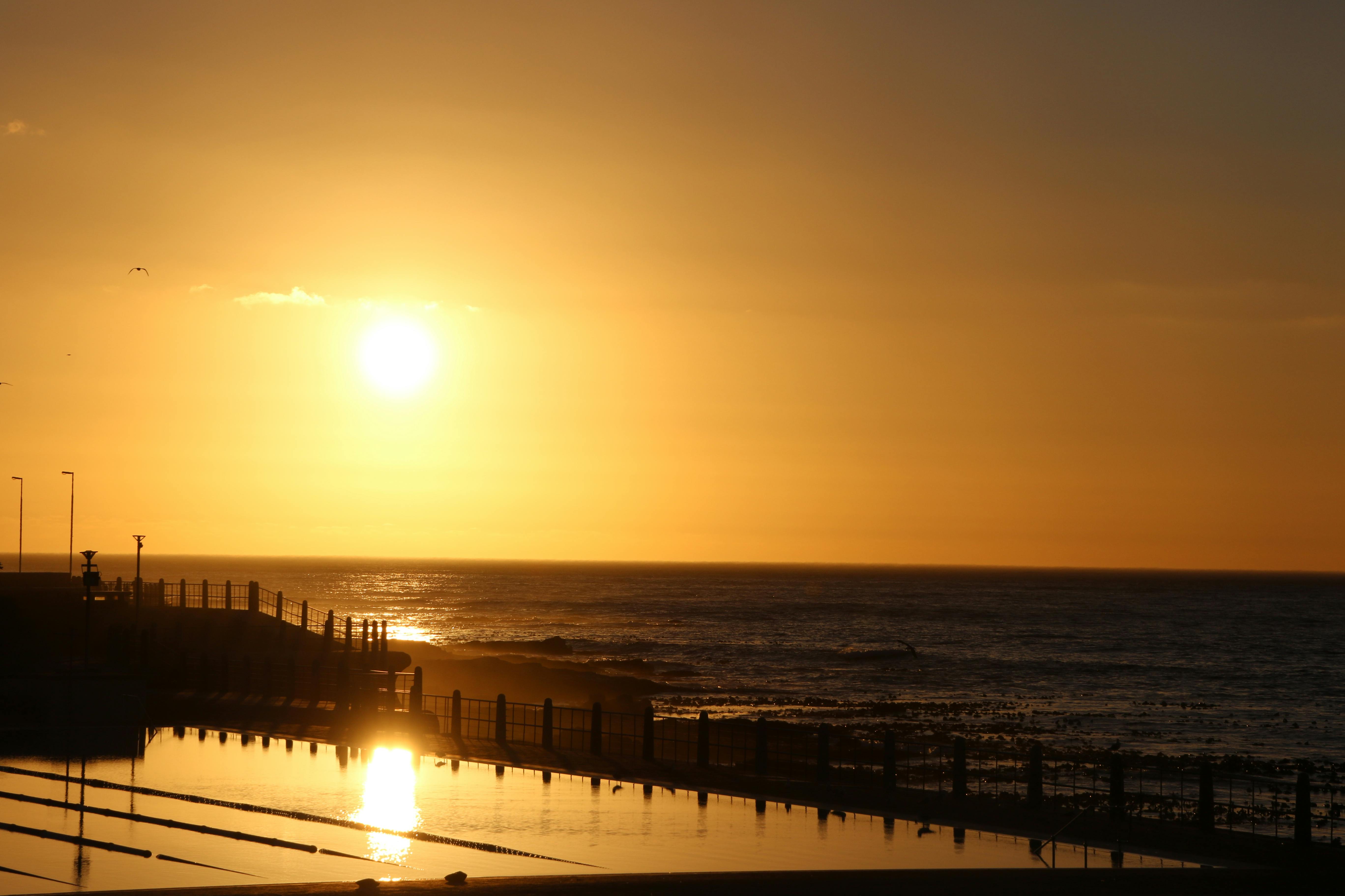 Free stock photo of braai, bushveld, campfire