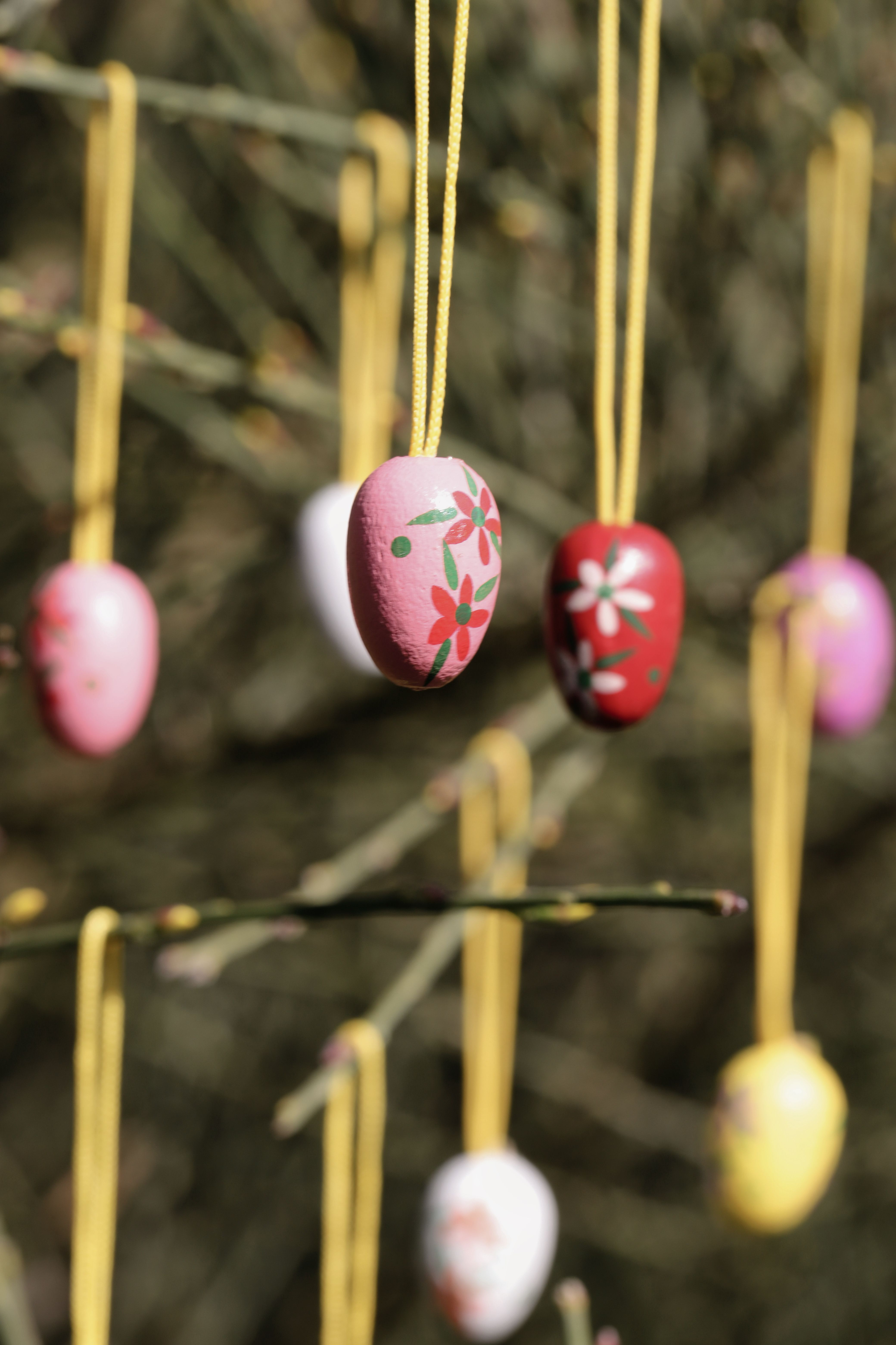 Colorful Easter Eggs Hanging on Willow Branches · Free Stock Photo