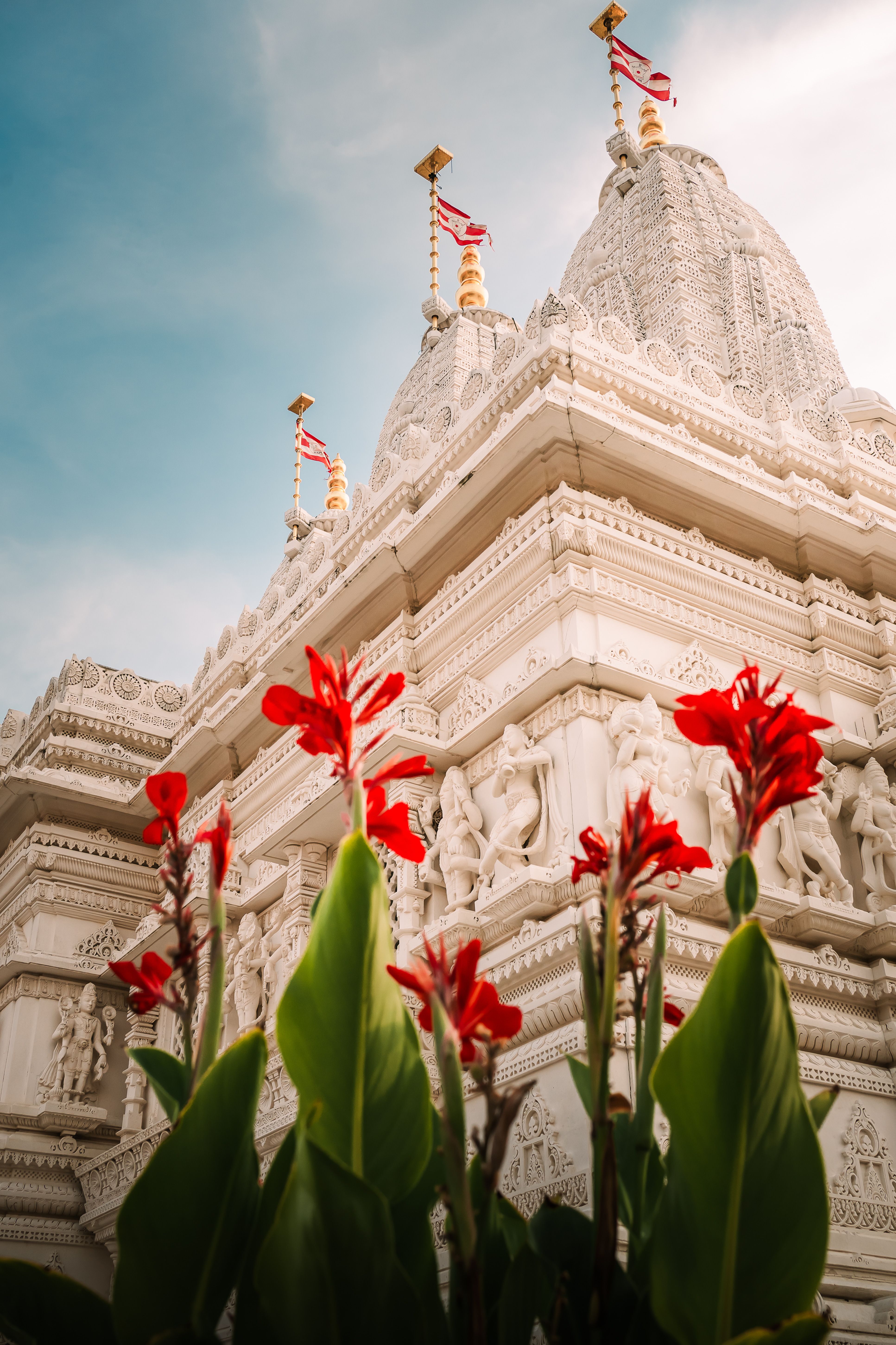 Temple Flowes Photos, Download The BEST Free Temple Flowes Stock Photos ...