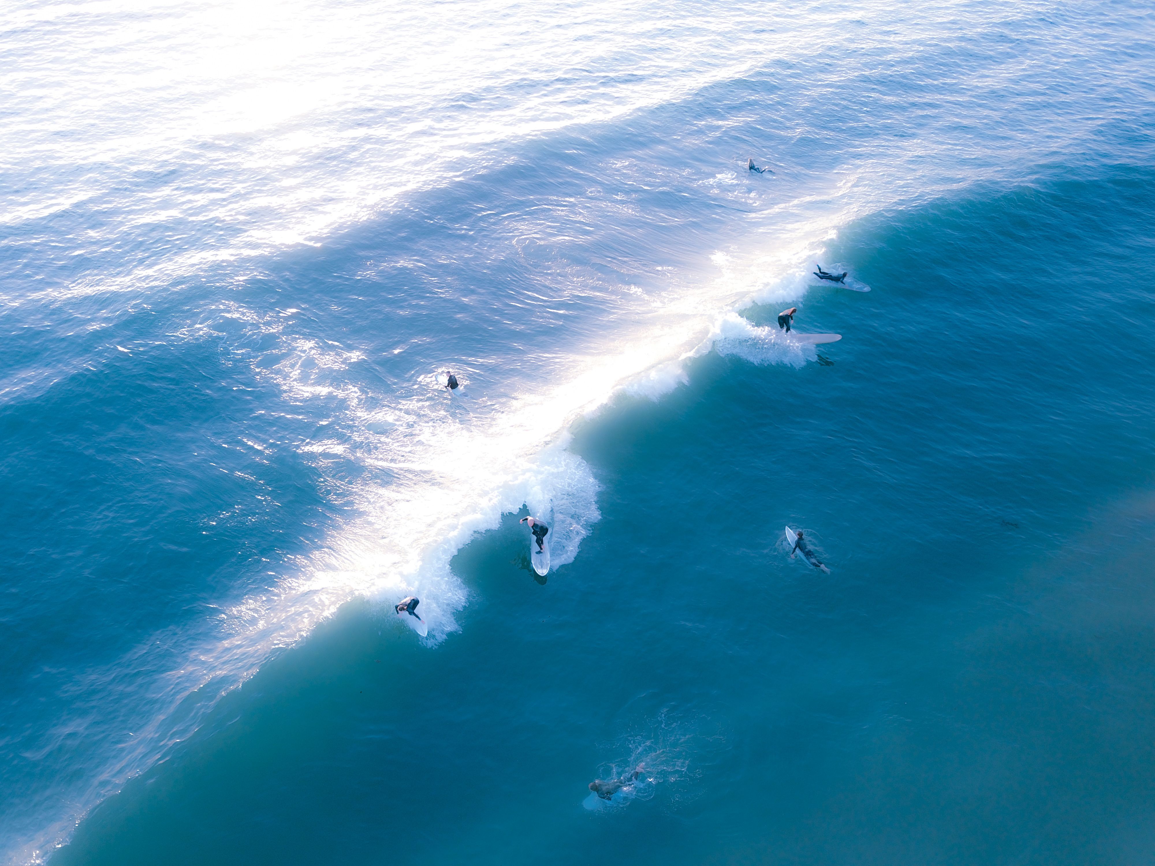 People Surfing on Sea Waves · Free Stock Photo