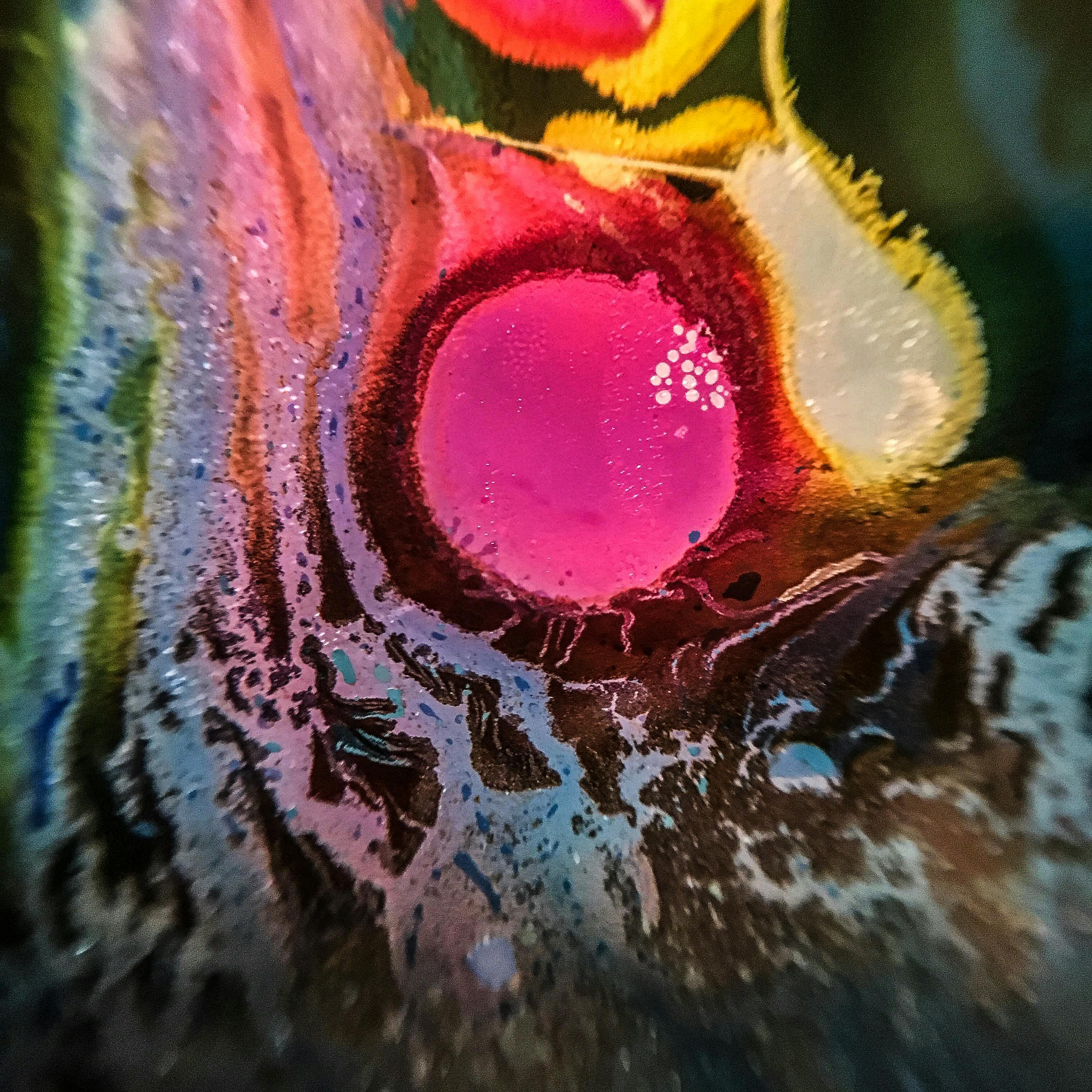 Textures 11 Photos & Videos Collected by Lucas Craig