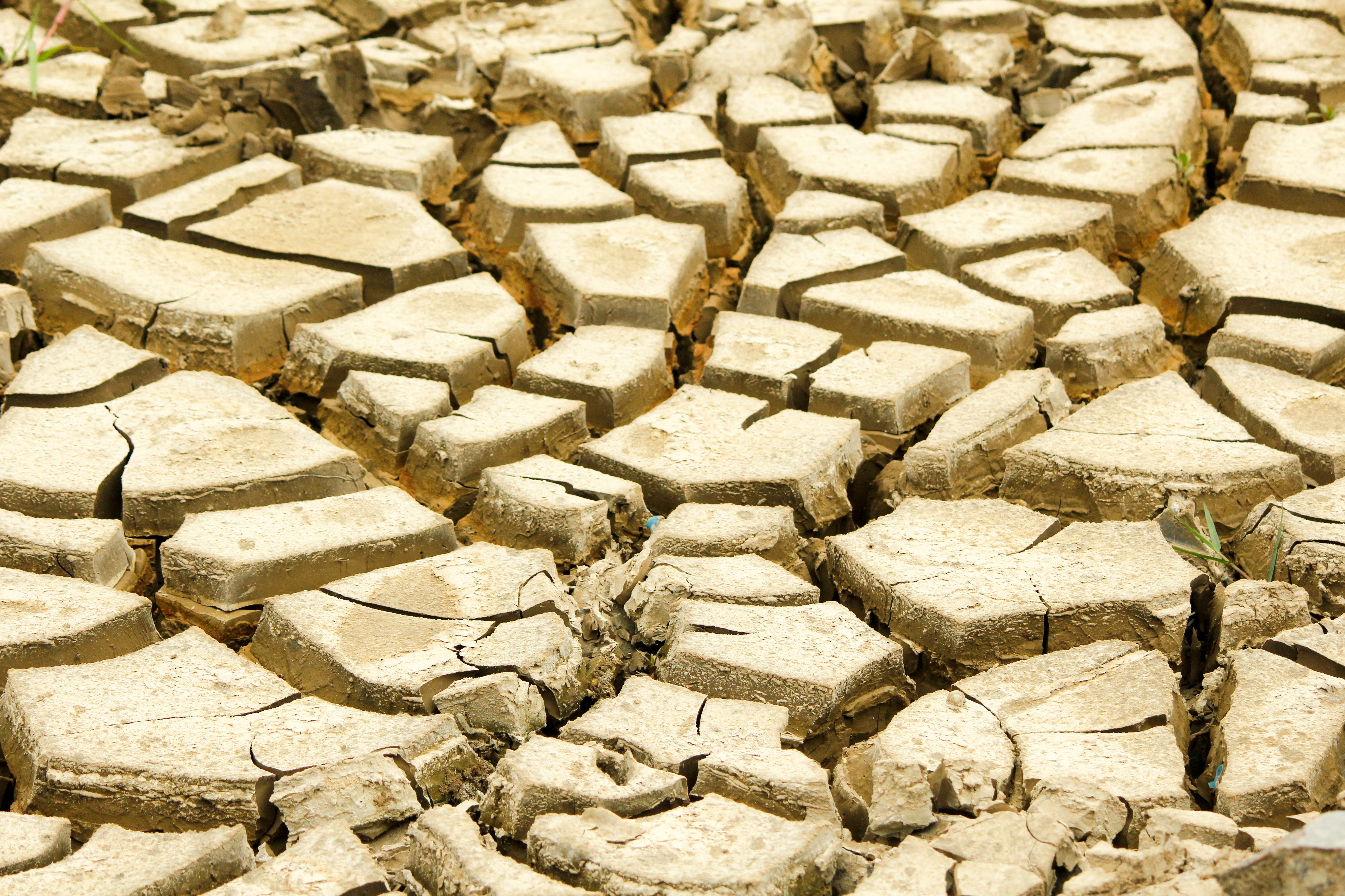Drought Photos, Download The BEST Free Drought Stock Photos & HD Images