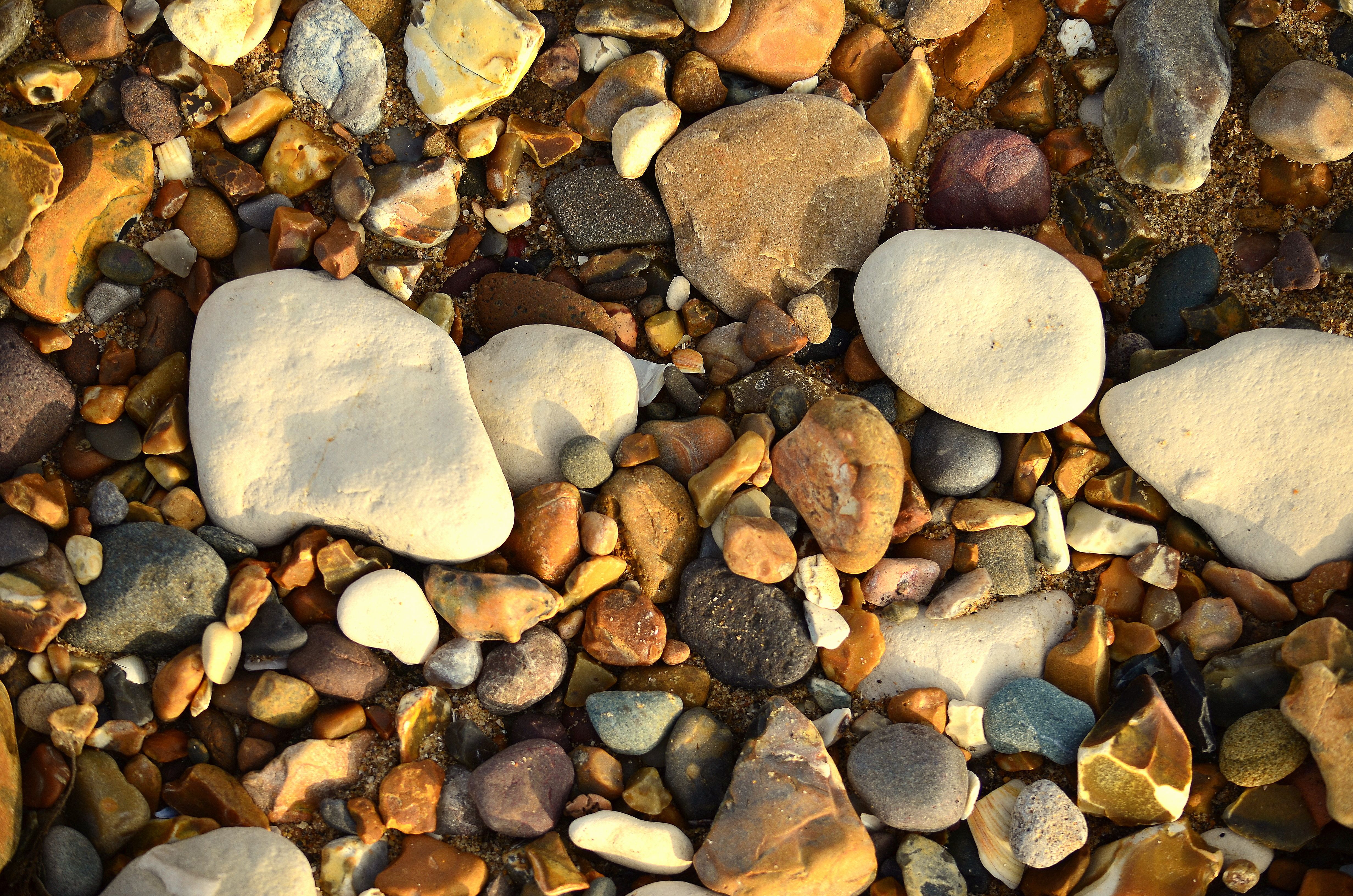 Small Stones Photos, Download The BEST Free Small Stones Stock Photos ...