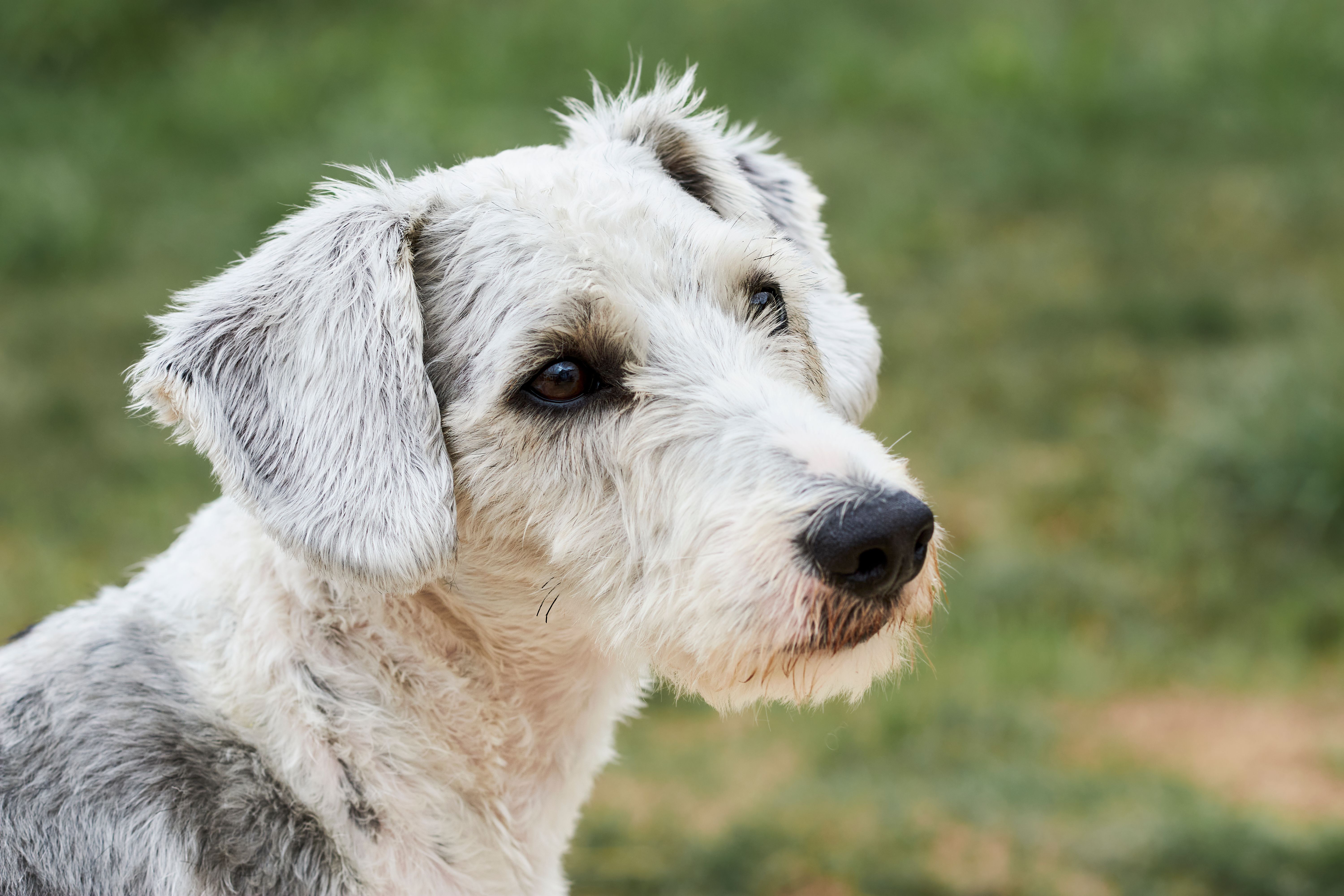800.399+ Fotos y Imágenes de Doggy+style+closeup+teens Gratis · Banco ...