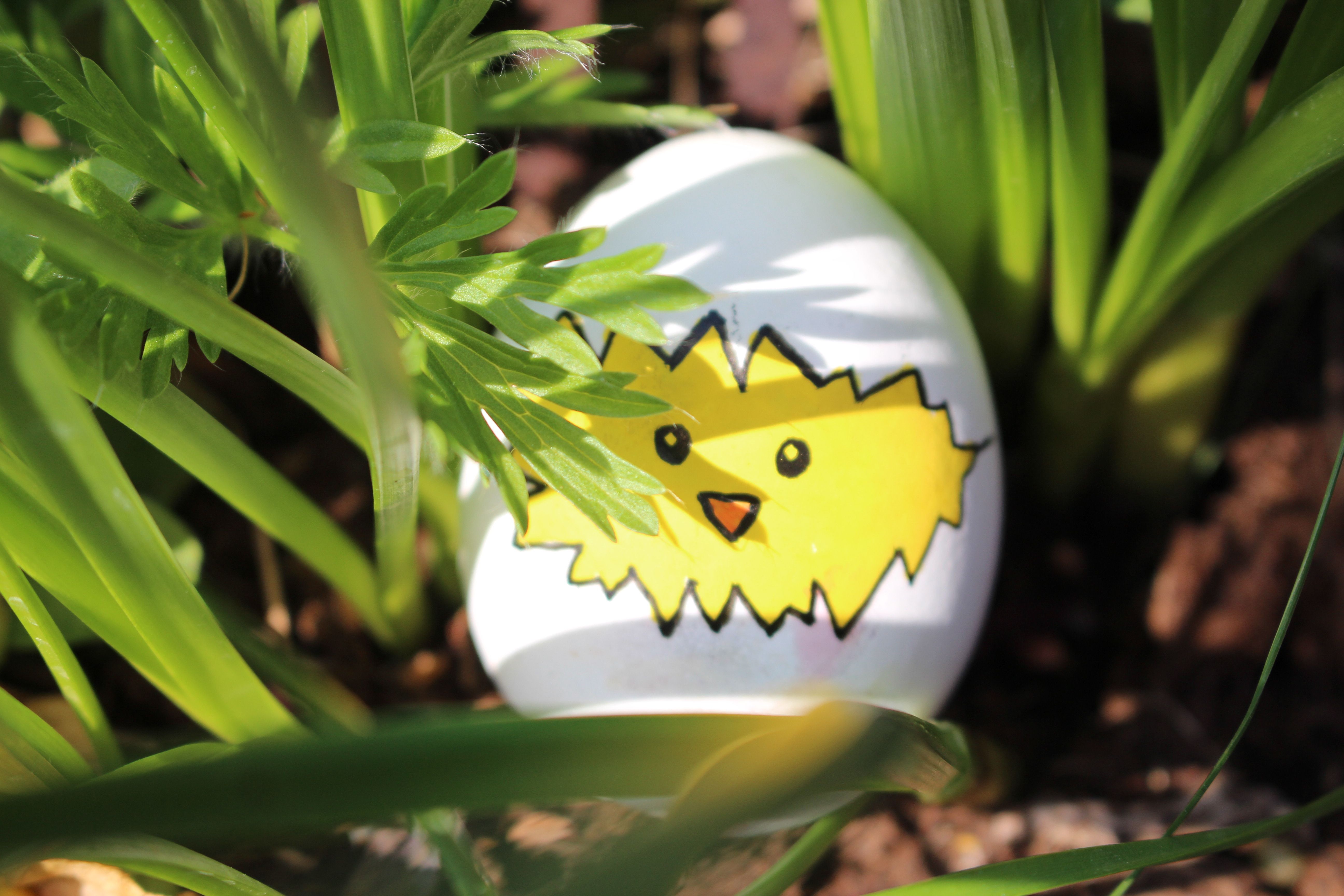Funny+Spring+Clip+Art Photos, Download The BEST Free Funny+Spring+Clip ...