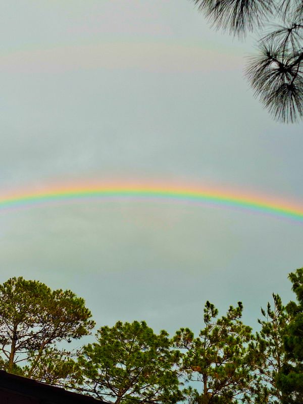 Bright Rainbow Photos, Download The BEST Free Bright Rainbow Stock ...