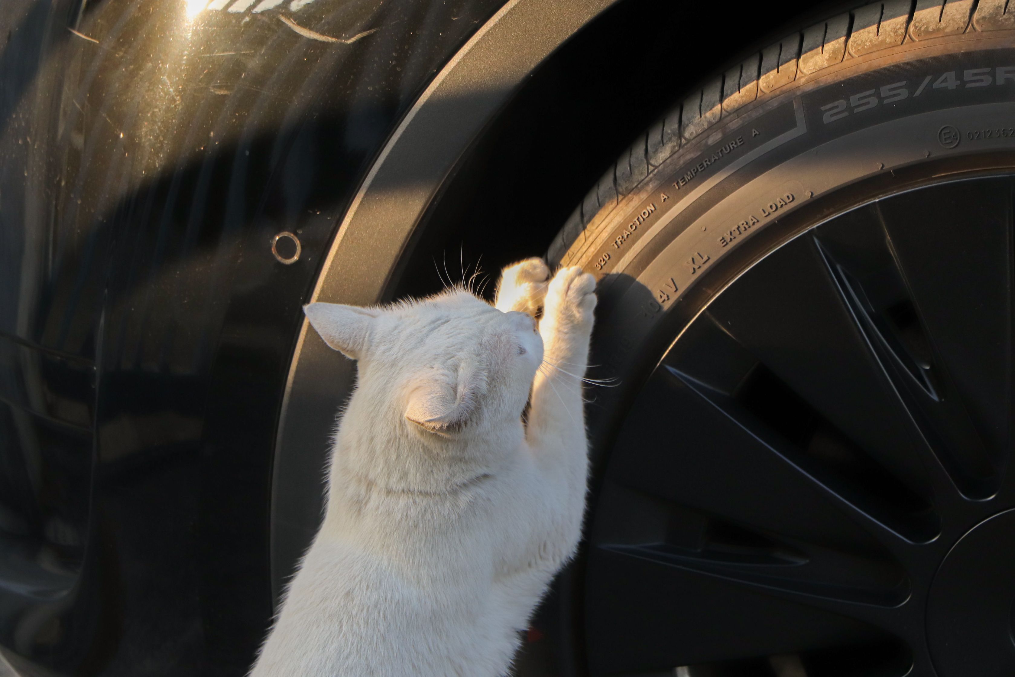 Scratch Photos, Download The BEST Free Scratch Stock Photos & HD Images