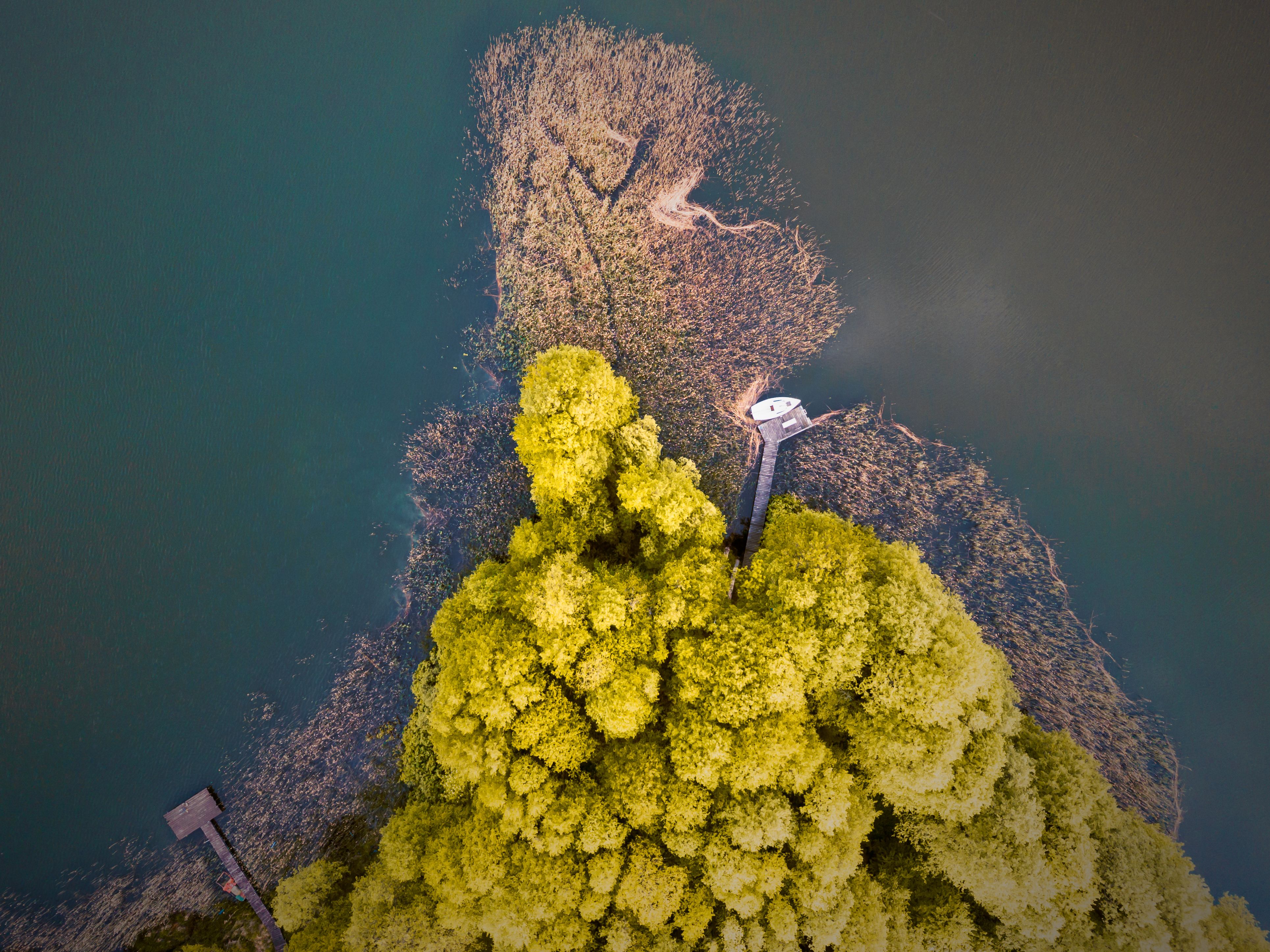 Aerial View of Lakeside Forest in Poland · Free Stock Photo
