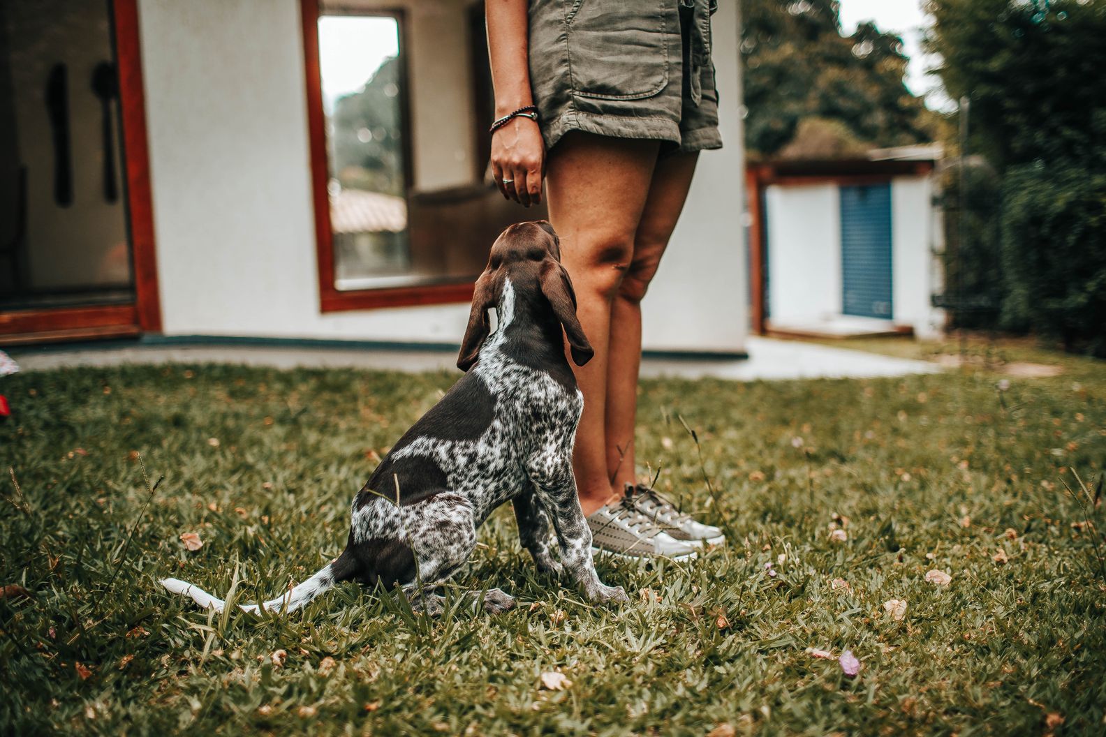Can dogs get kennel cough without being around other dogs?