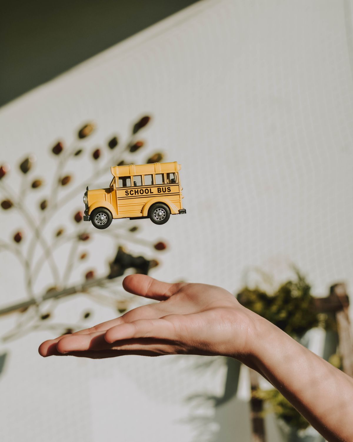 School Bus Photos, Download The BEST Free School Bus Stock Photos & HD ...