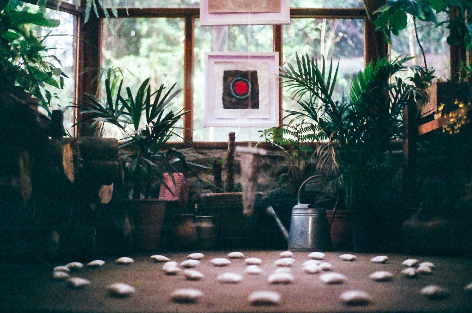 Indoor Atrium Garden Ideas for Bright, Healthy Plants