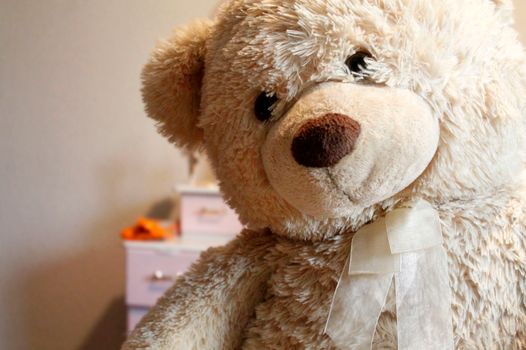 Free stock photos of teddy bears · Pexels