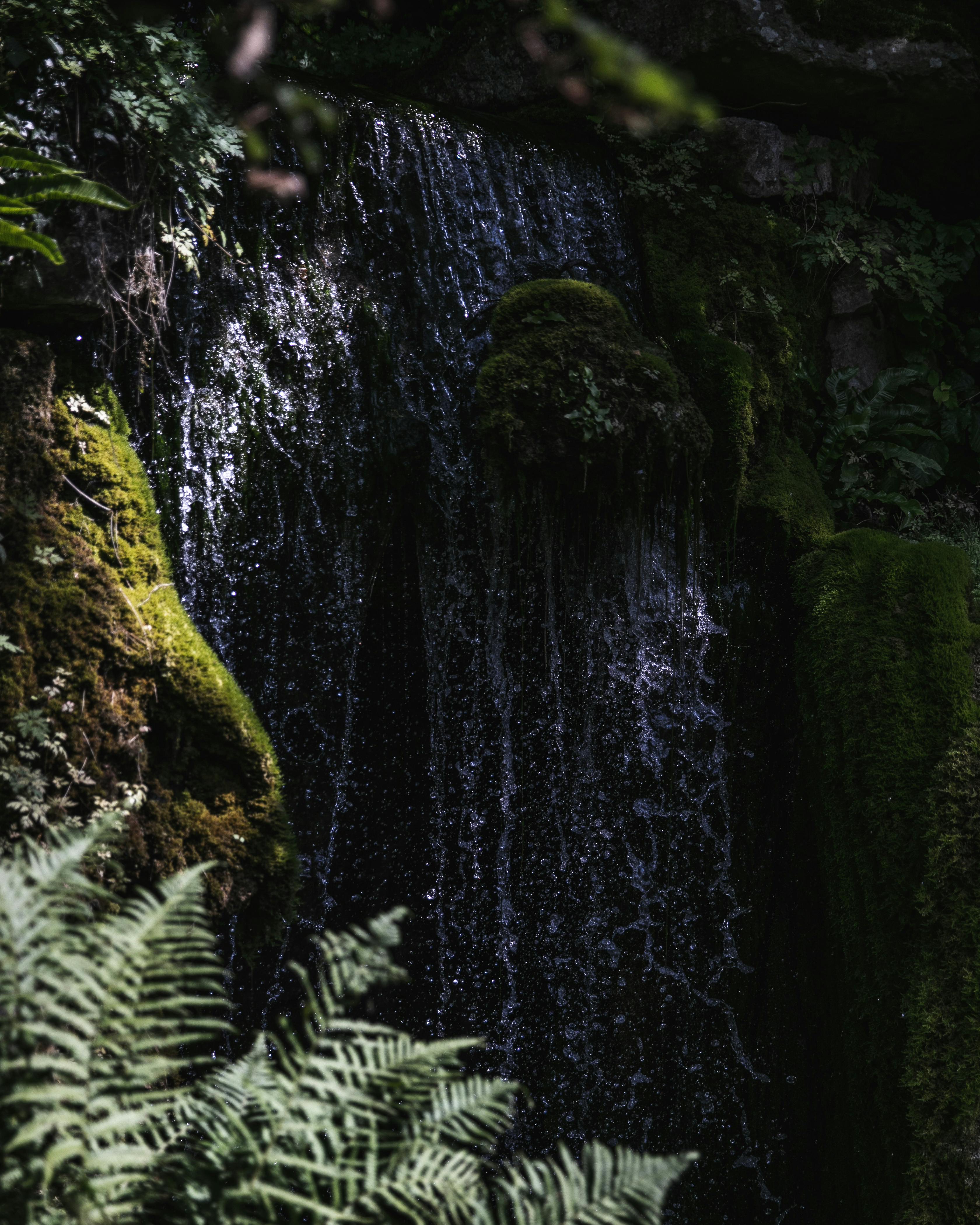 Jack Stapleton - 사진